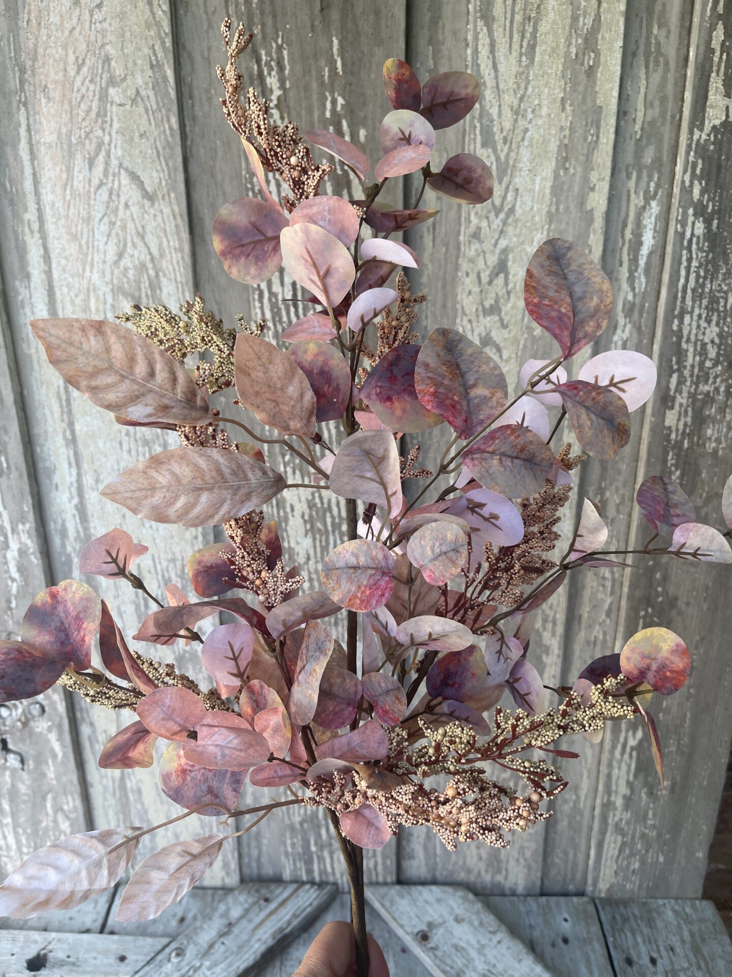Fall Mixed Eucalyptus Stem - Kelea's Florals