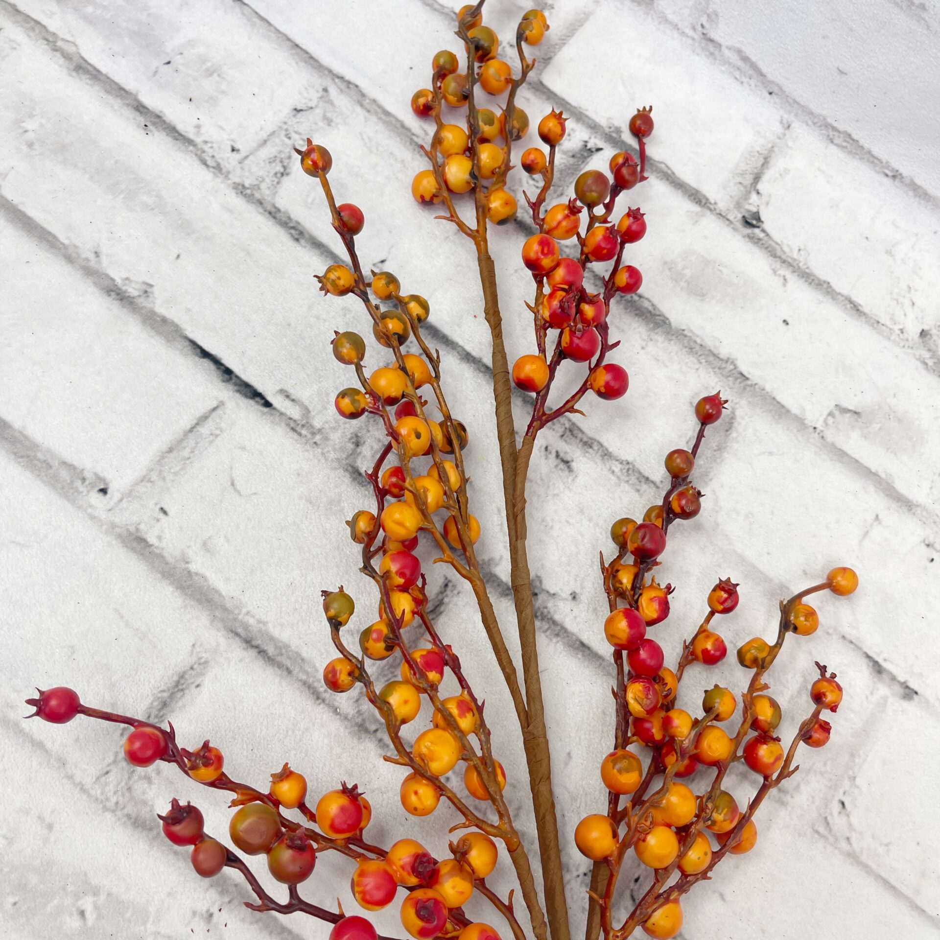 Orange Berry Stem - Kelea's Florals