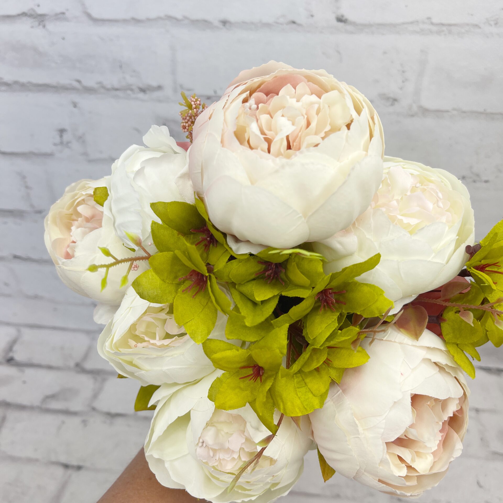 Cream Pink Mixed Peony Bush - Kelea's Florals