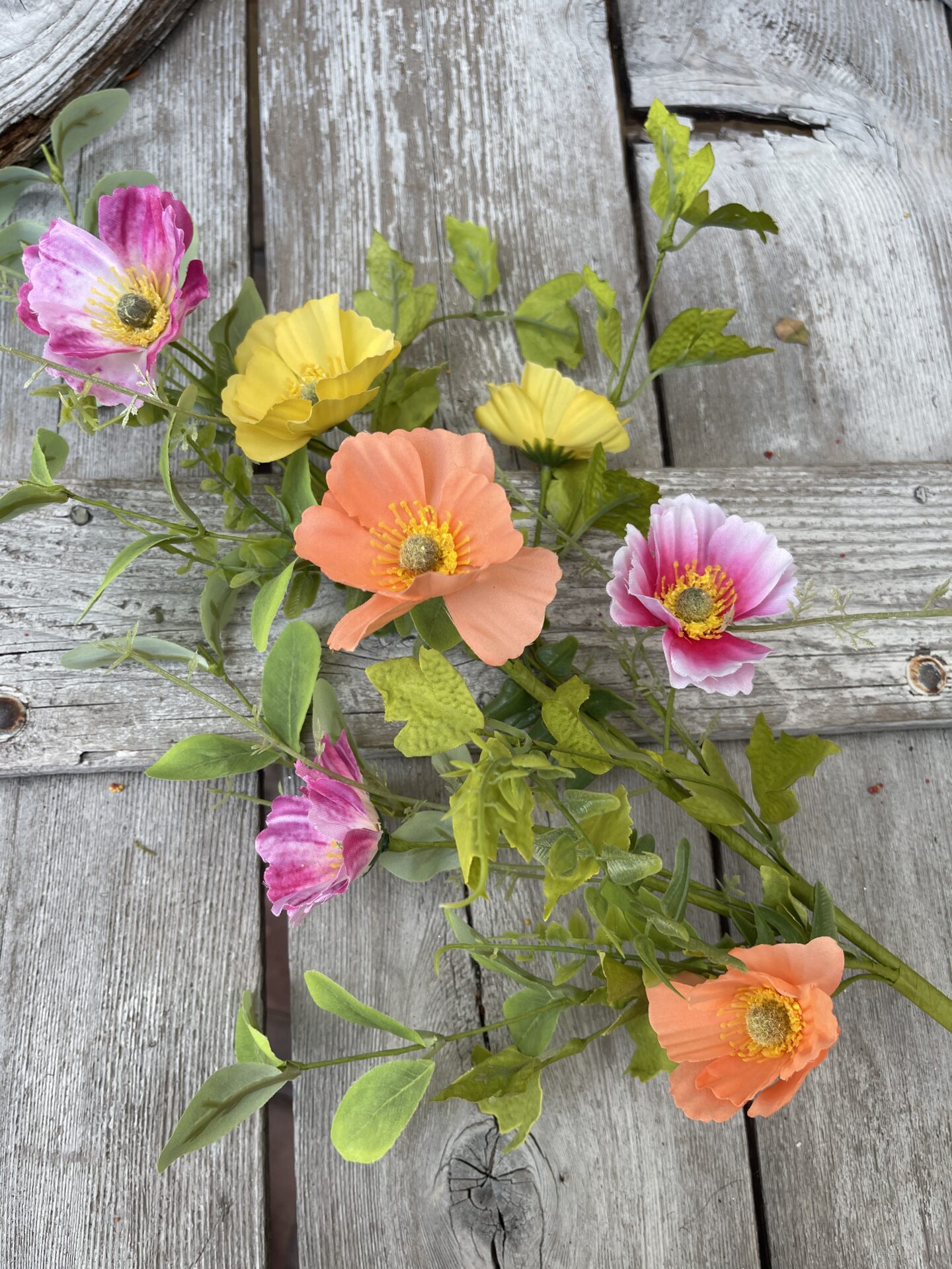 Multi-color Cosmos Stem - Kelea's Florals