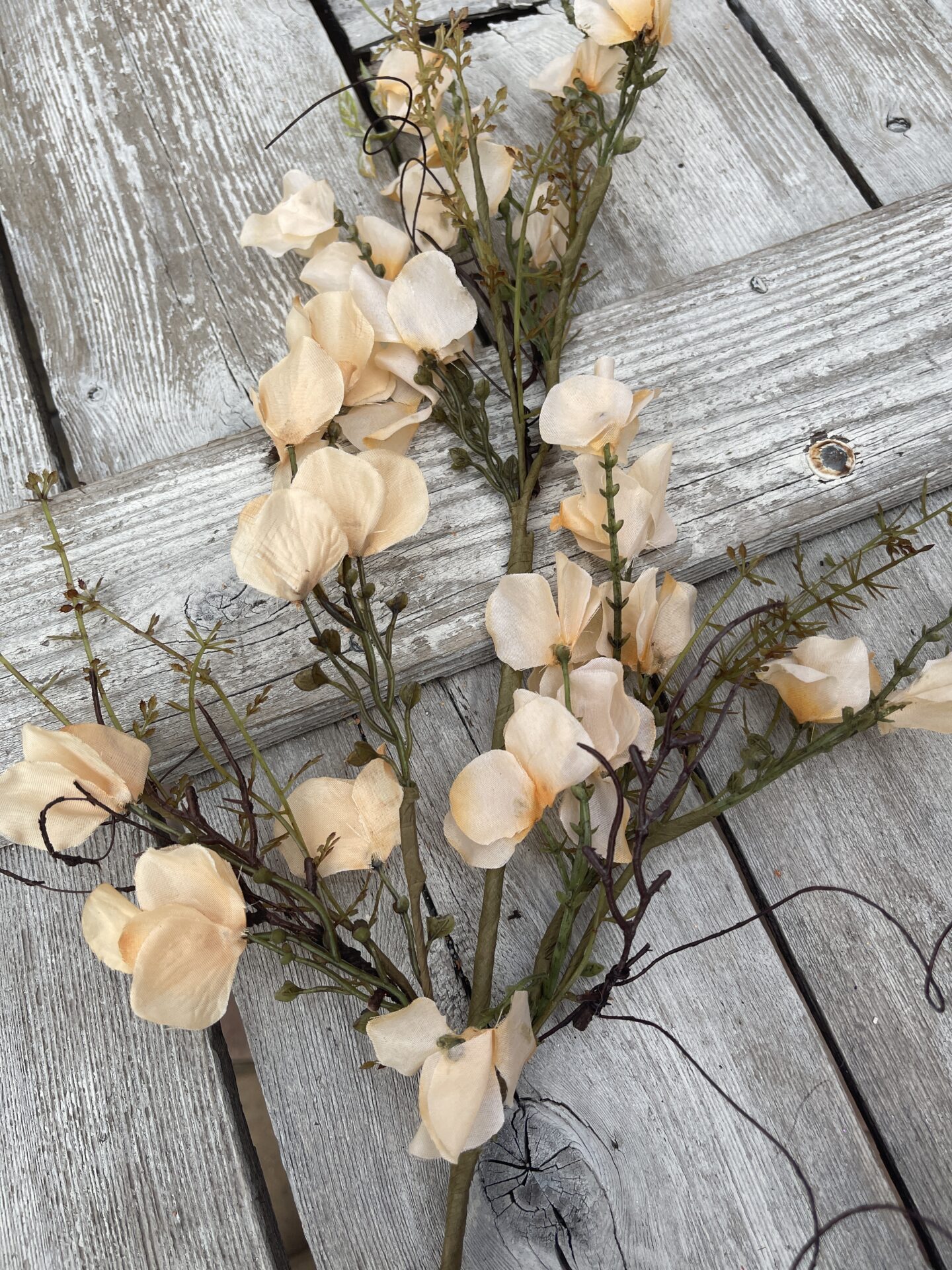 Beige Lantern Stem - Kelea's Florals