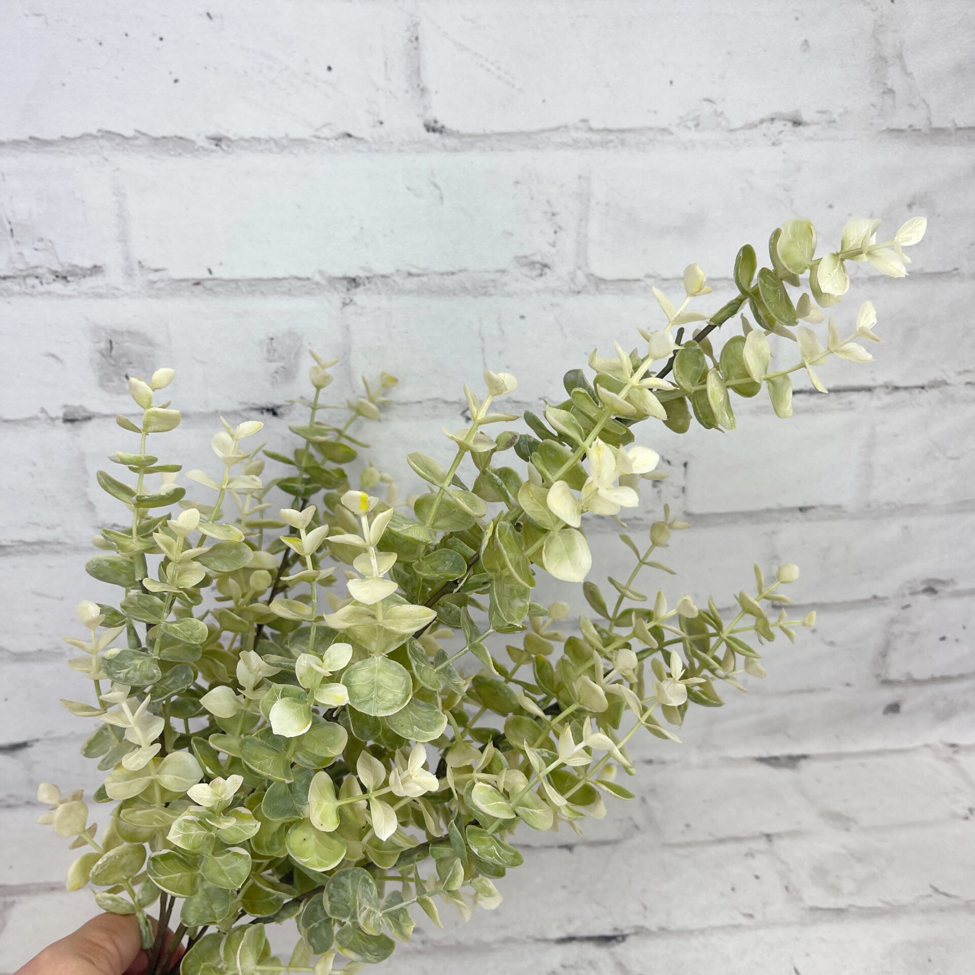 Green Eucalyptus Bush - Kelea's Florals