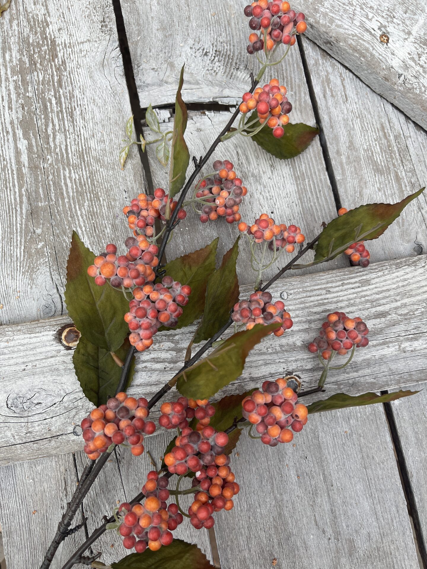 Orange Berry Spray - Kelea's Florals