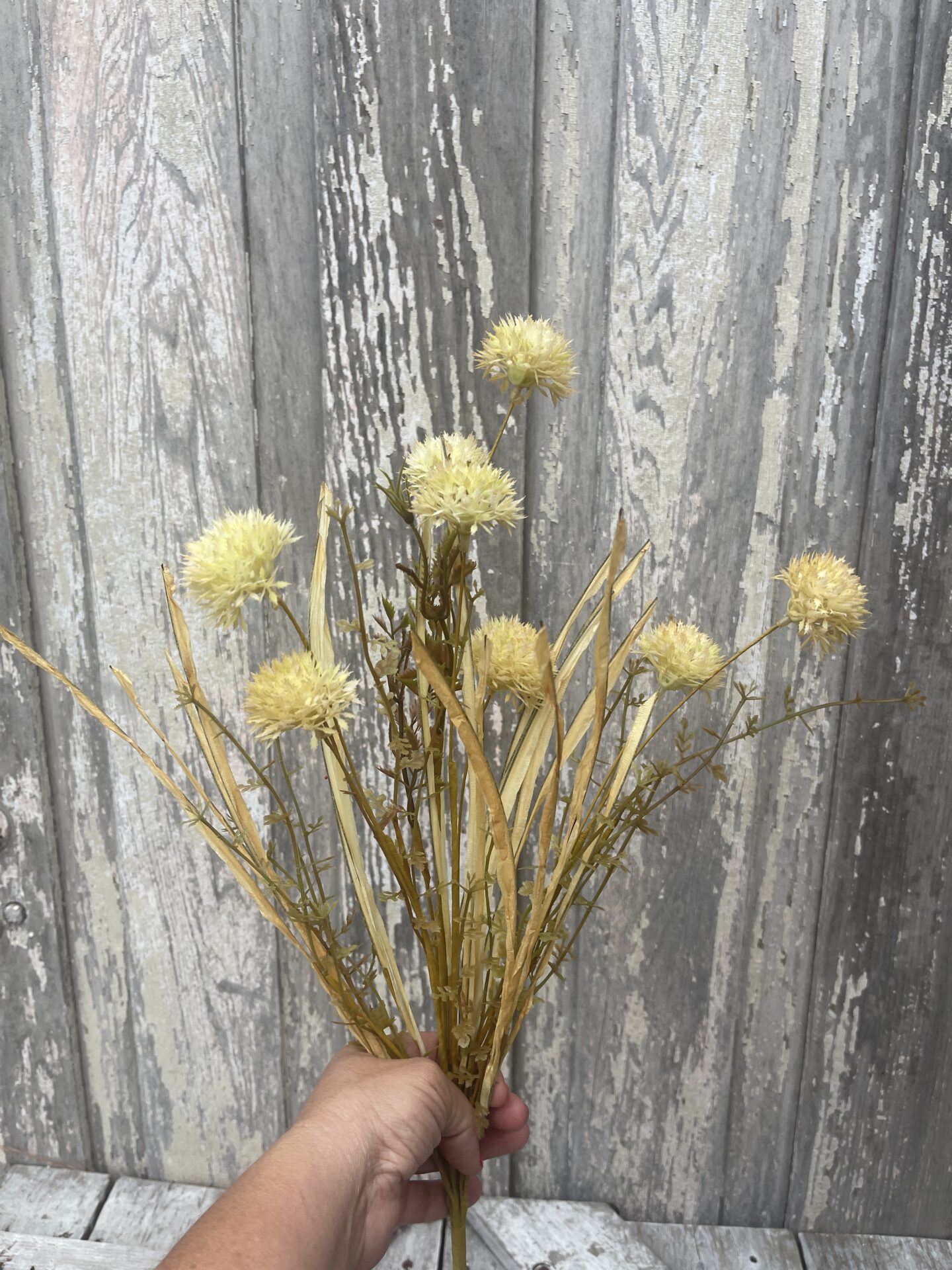 Thistle Straw Filler Bush - Kelea's Florals