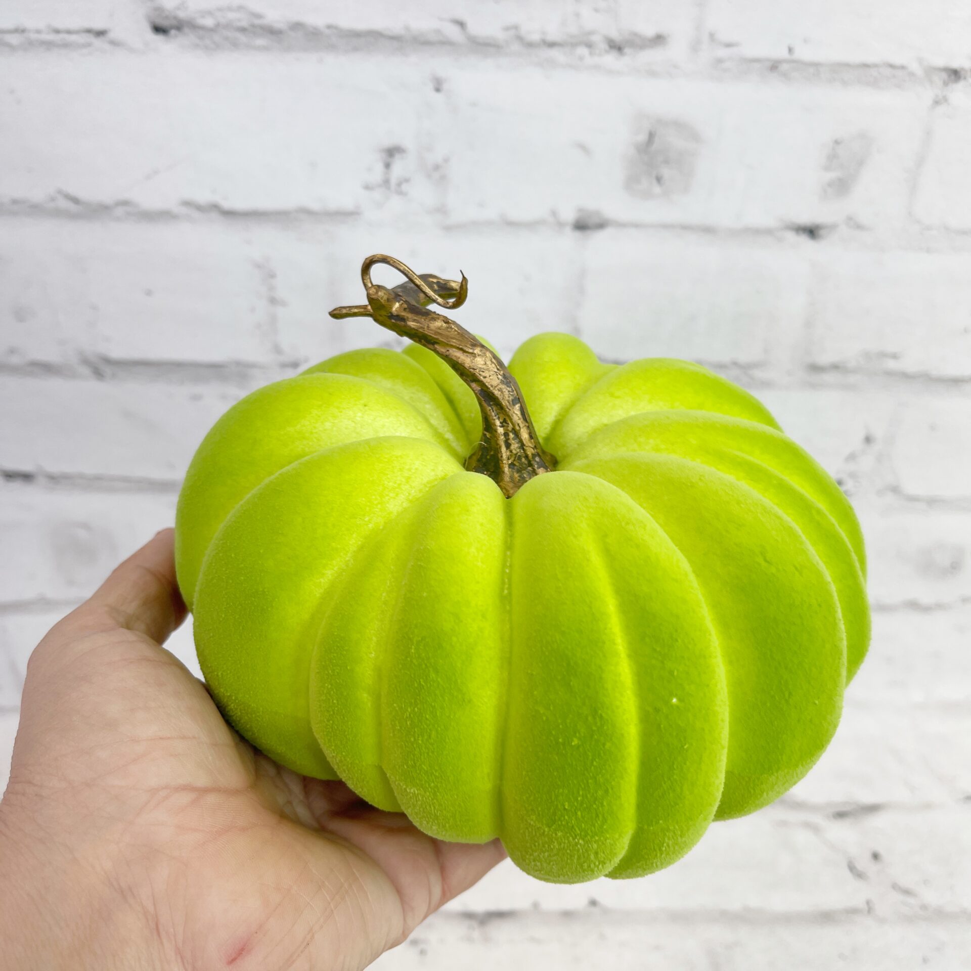 Lime Flocked Pumpkin - Kelea's Florals