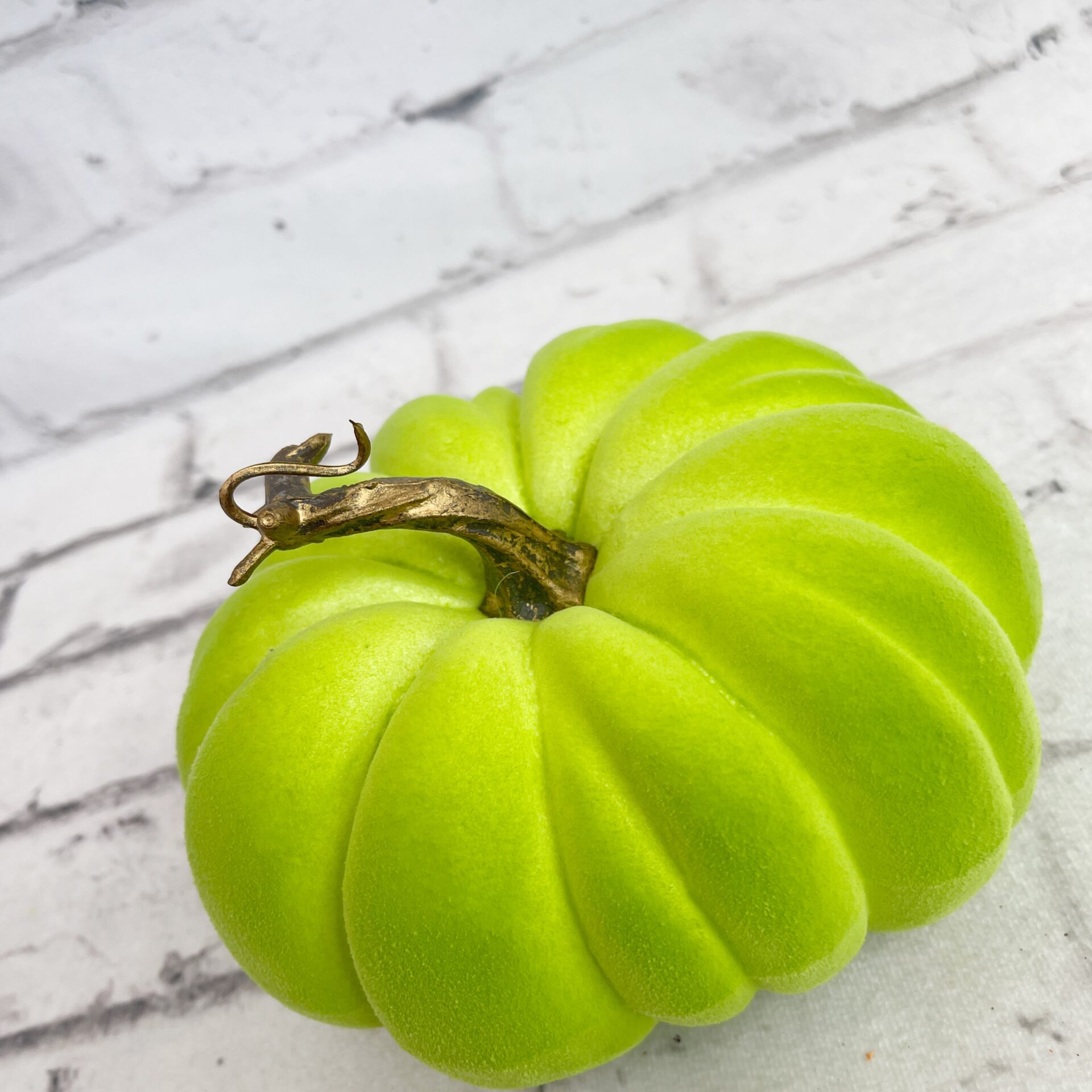 Lime Flocked Pumpkin - Kelea's Florals