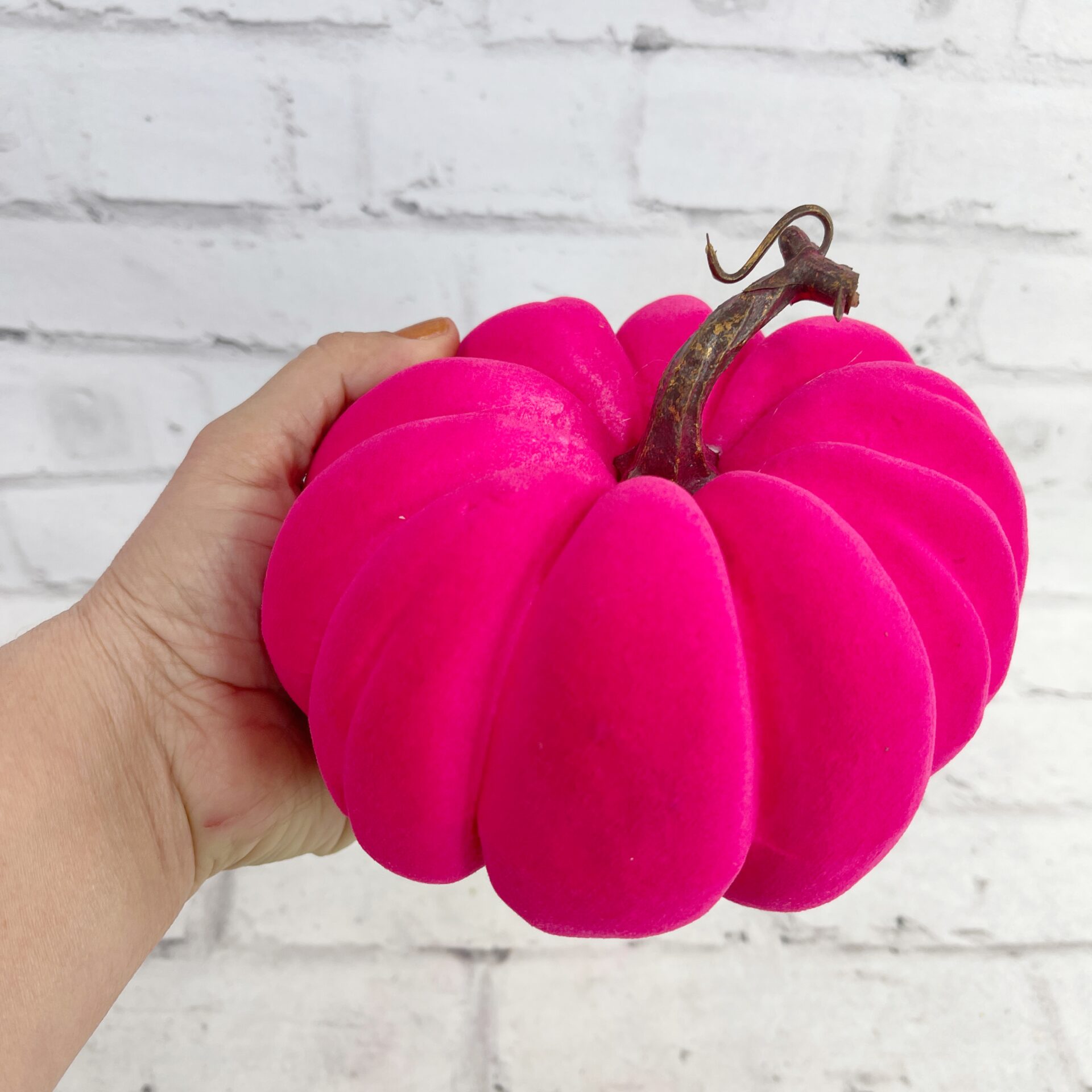 Hot Pink Flocked Pumpkin - Kelea's Florals
