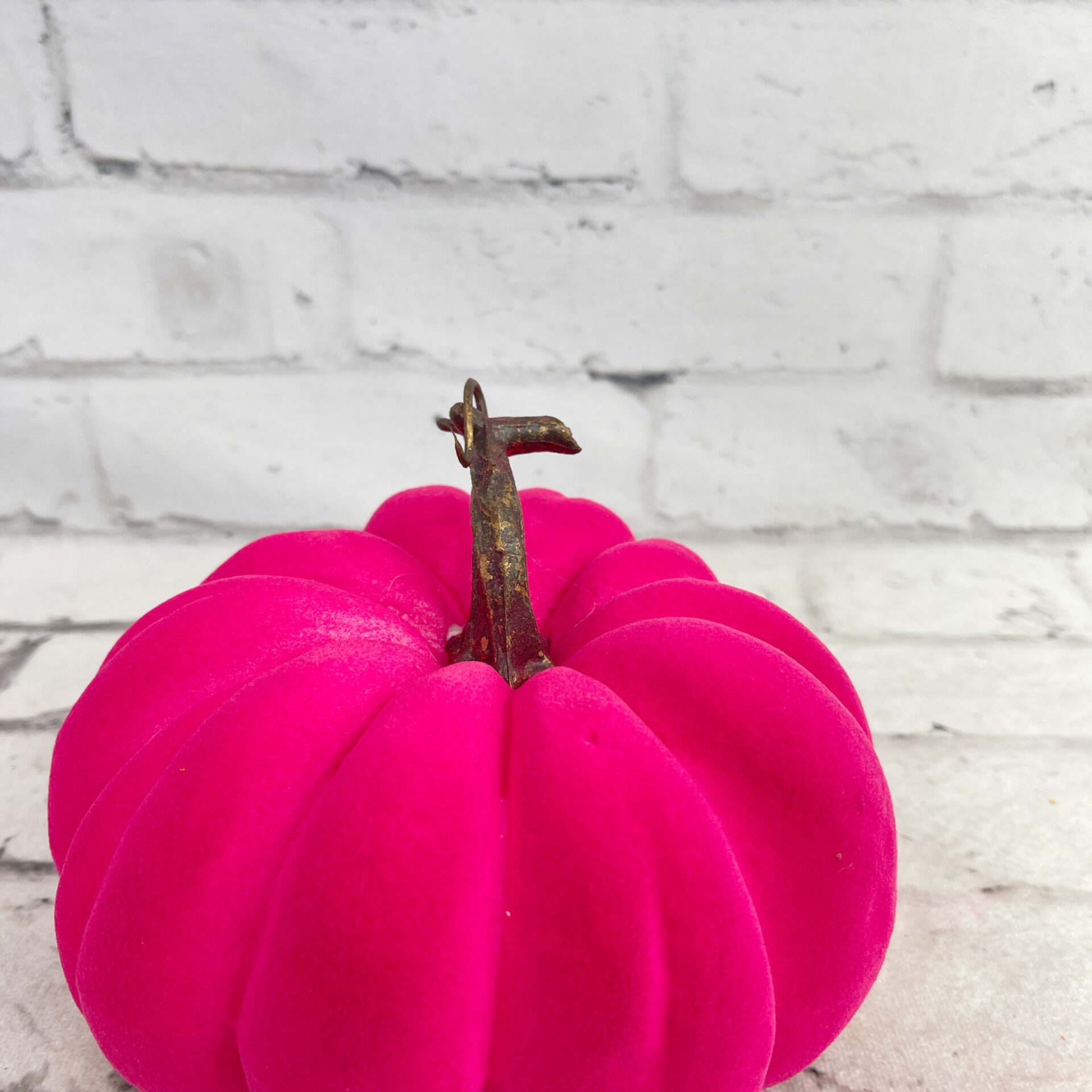 Hot Pink Flocked Pumpkin - Kelea's Florals