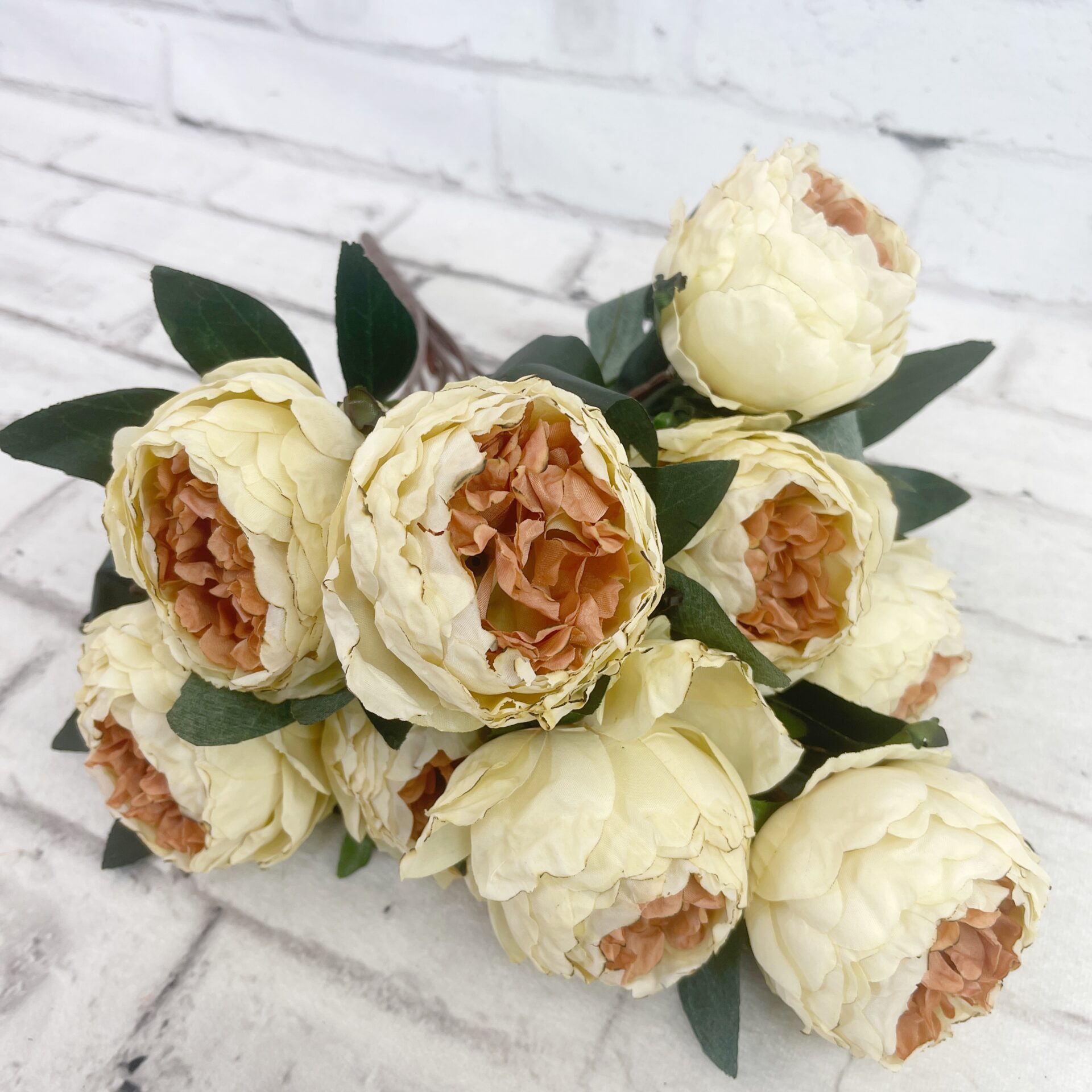Beige Dry Peony Bush - Kelea's Florals