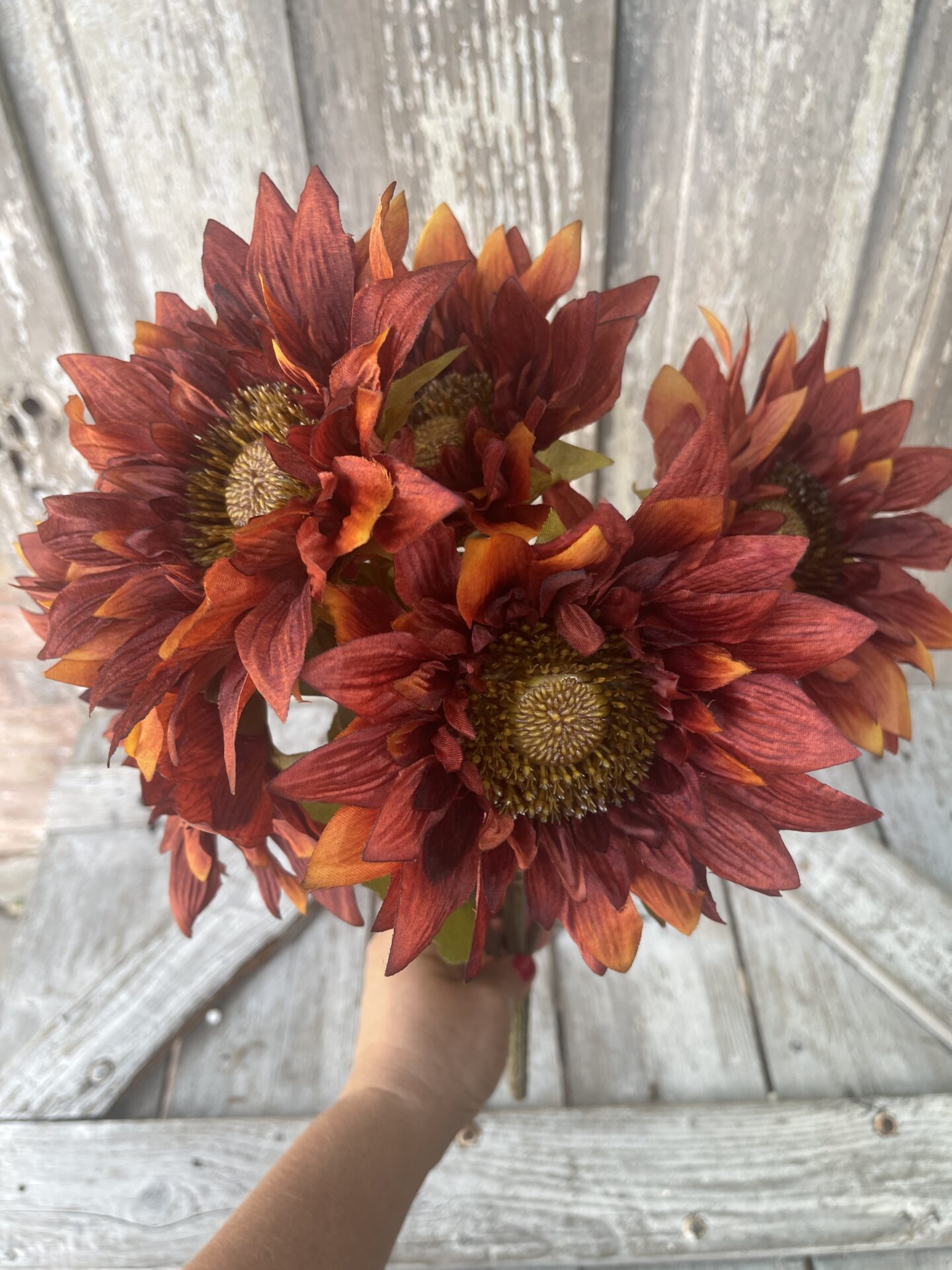 Brown Sunflower Bush - Kelea's Florals