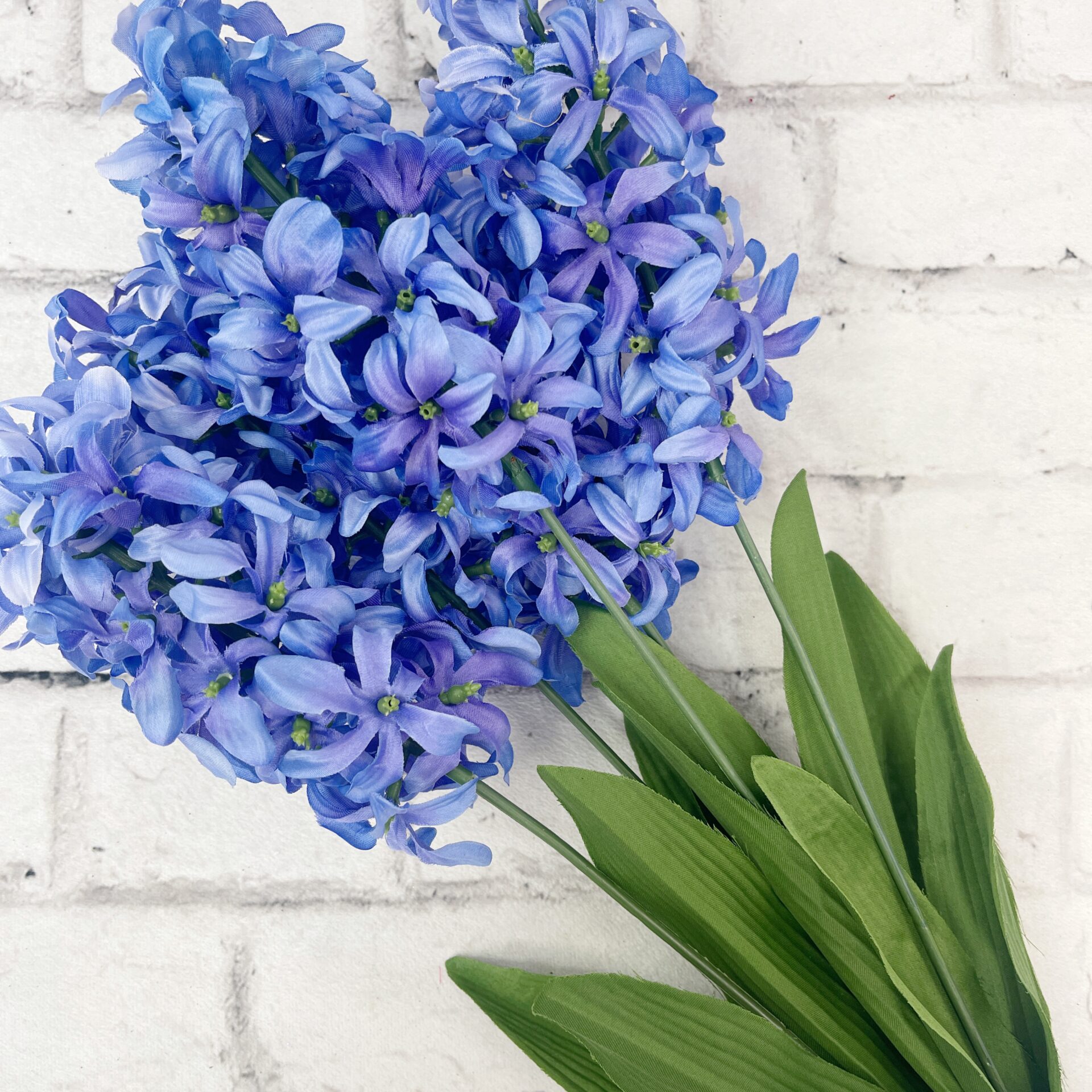 Blue Hyacinth Bush - Kelea's Florals