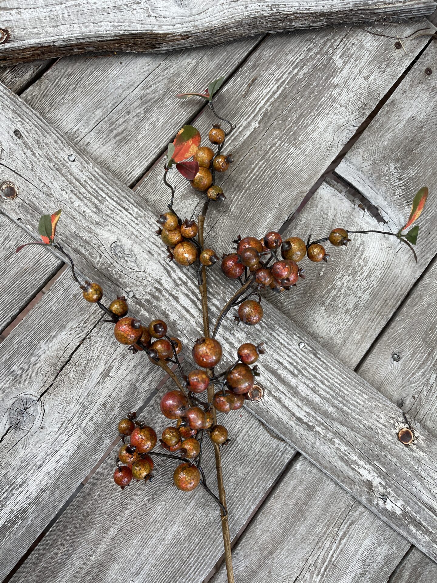 Orange Green Berry Stem - Kelea's Florals