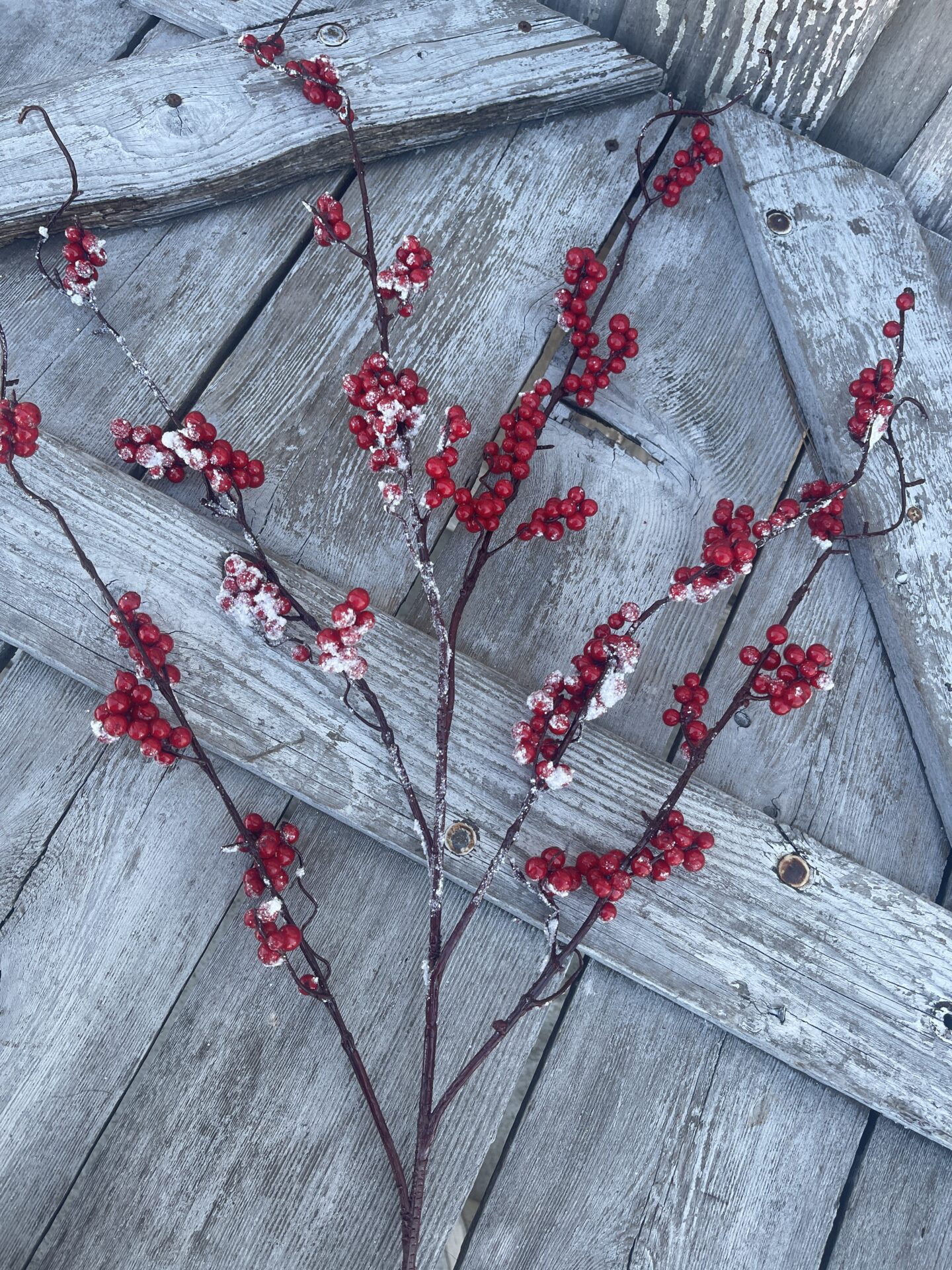 Berry Spray with Snow - Kelea's Florals