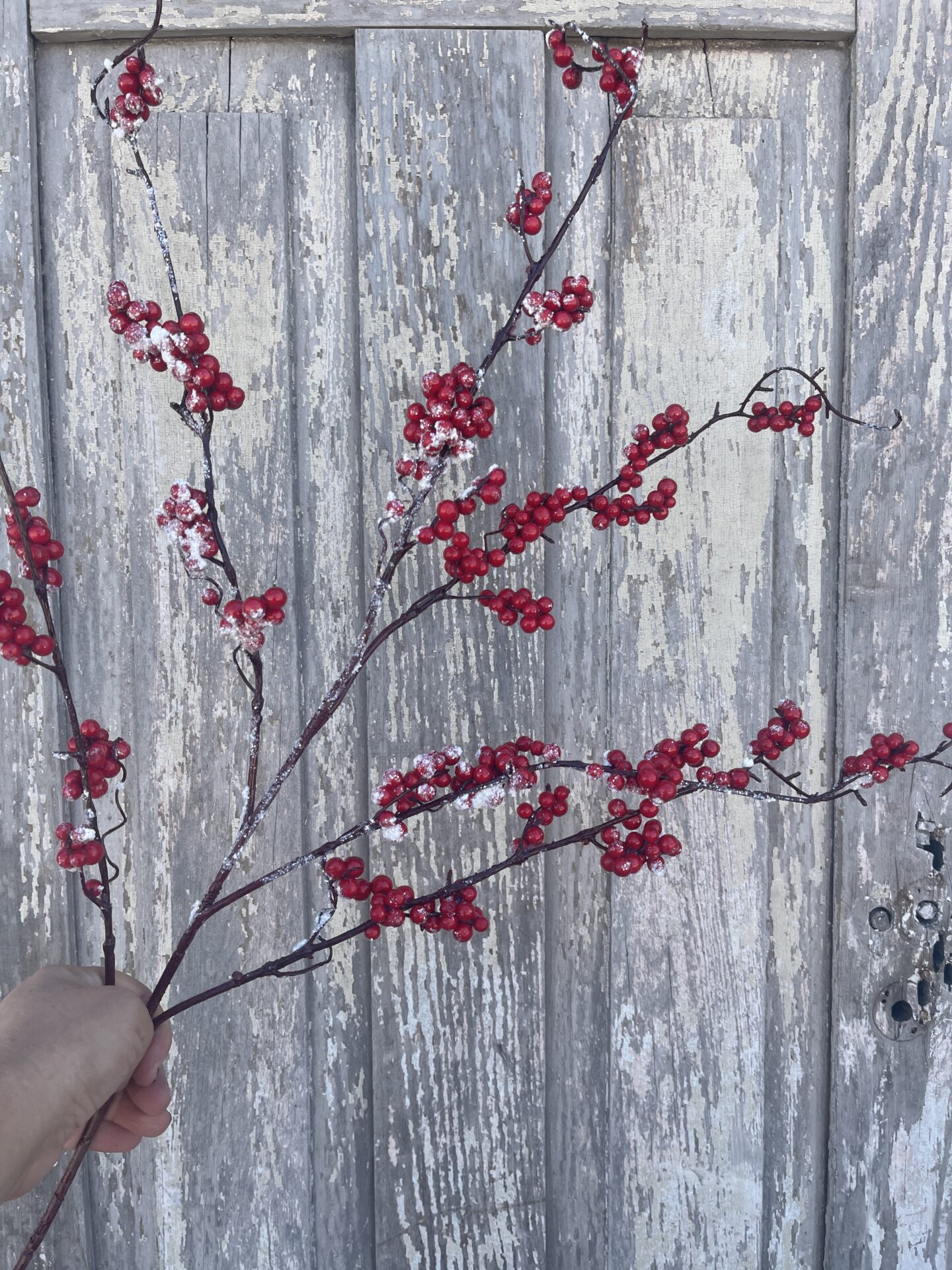 Berry Spray with Snow - Kelea's Florals