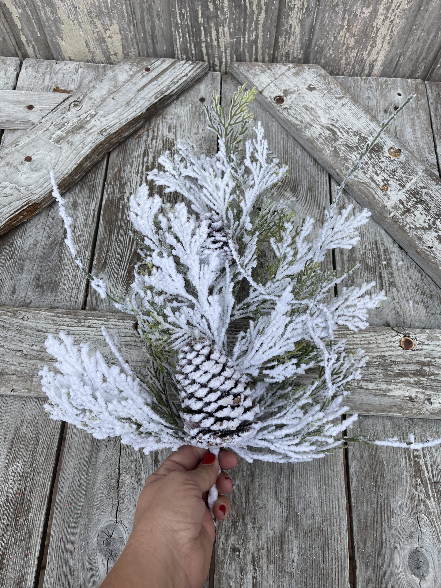 Snow Cedar Pinecone - Kelea's Florals