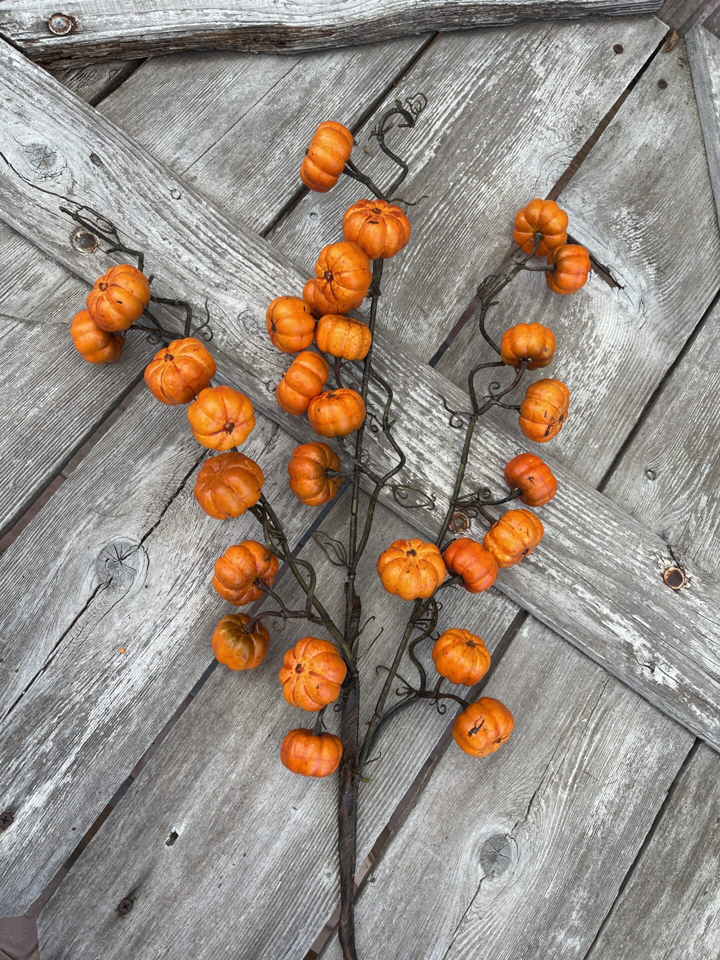 Orange Pumpkin Stem - Kelea's Florals