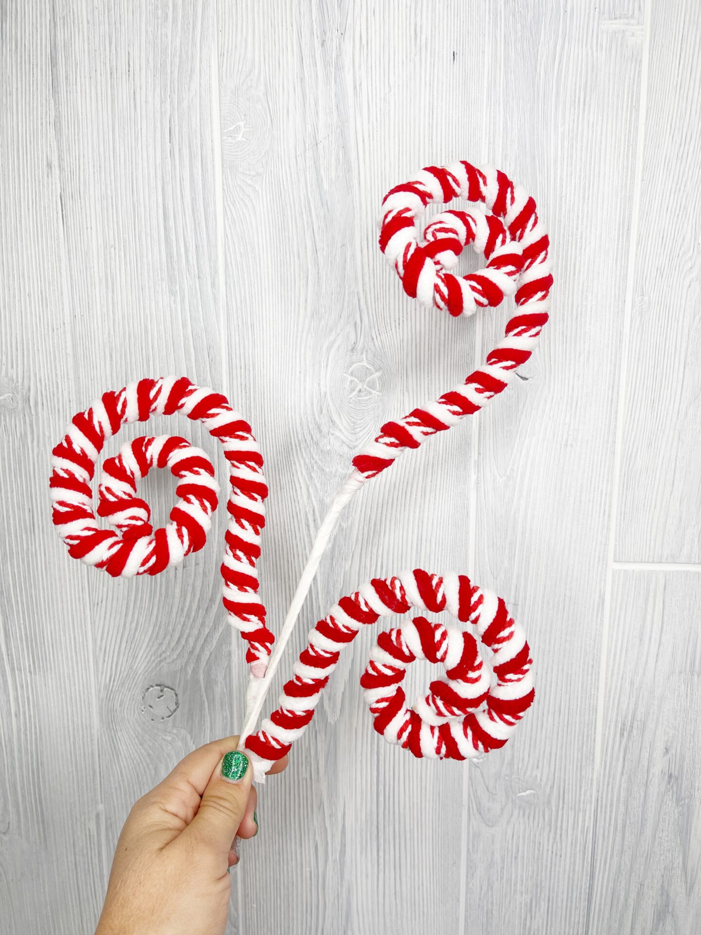 Peppermint Spiral Curly Spray - Kelea's Florals