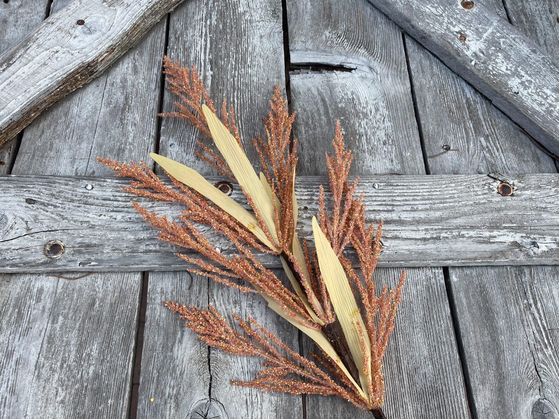 Orange Yellow Astilbe Stem - Kelea's Florals