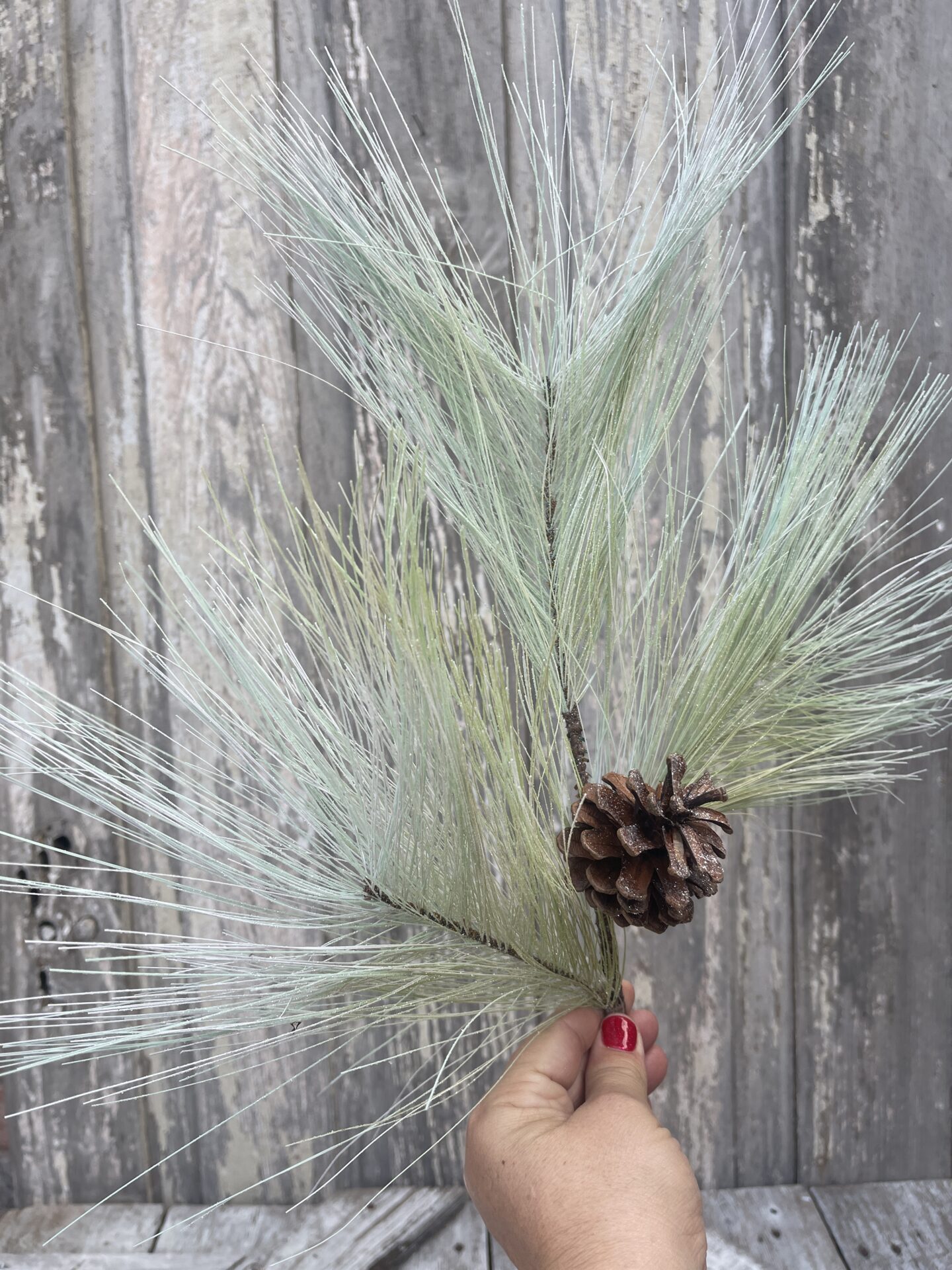 Medium Pine Stem - Kelea's Florals