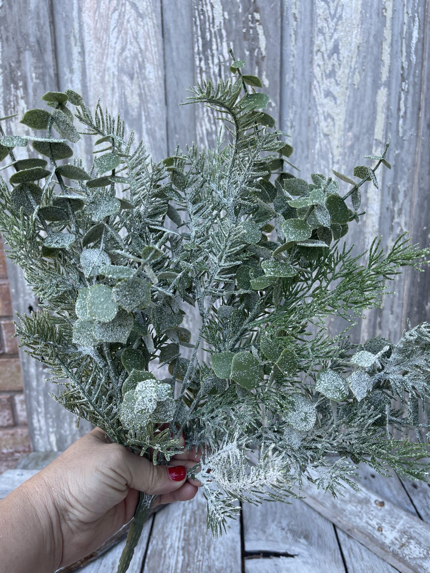 Iced Mixed Pine Cedar Stem - Kelea's Florals