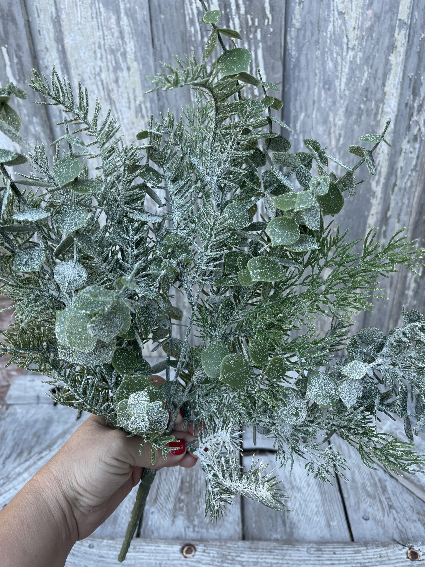 Iced Mixed Pine Cedar Stem - Kelea's Florals