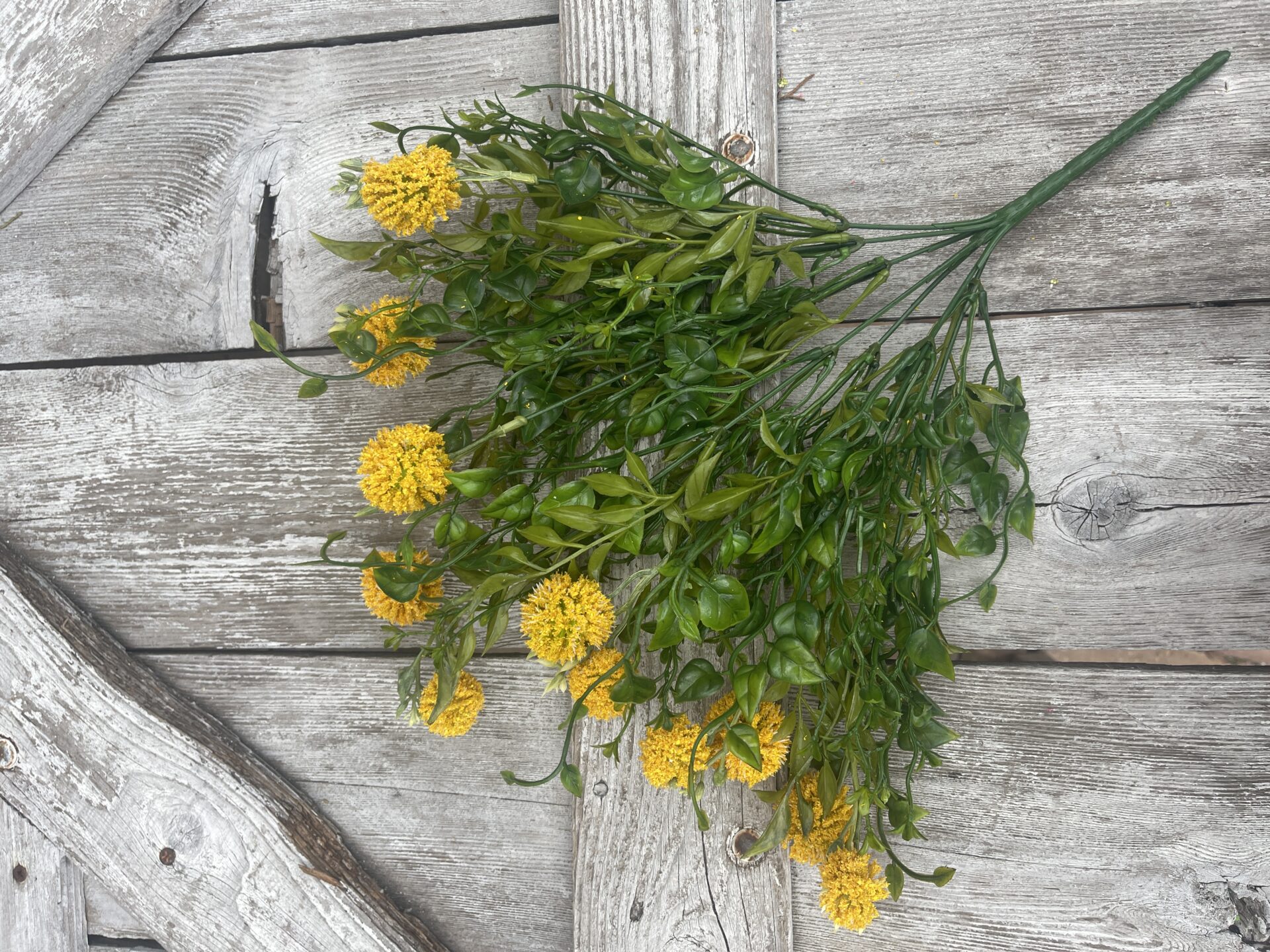 Yellow Snowball Allium Bush - Kelea's Florals