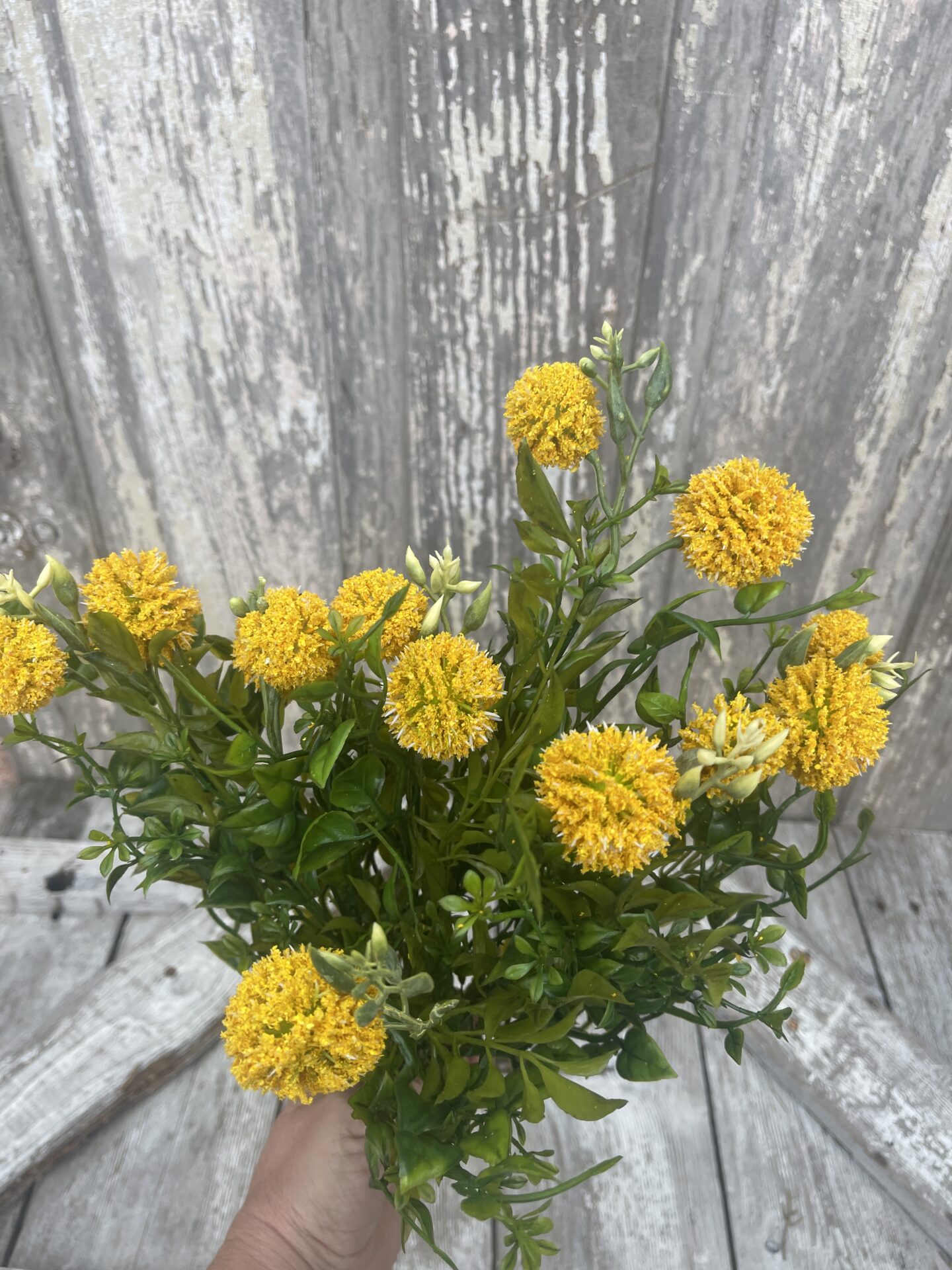 Yellow Snowball Allium Bush - Kelea's Florals
