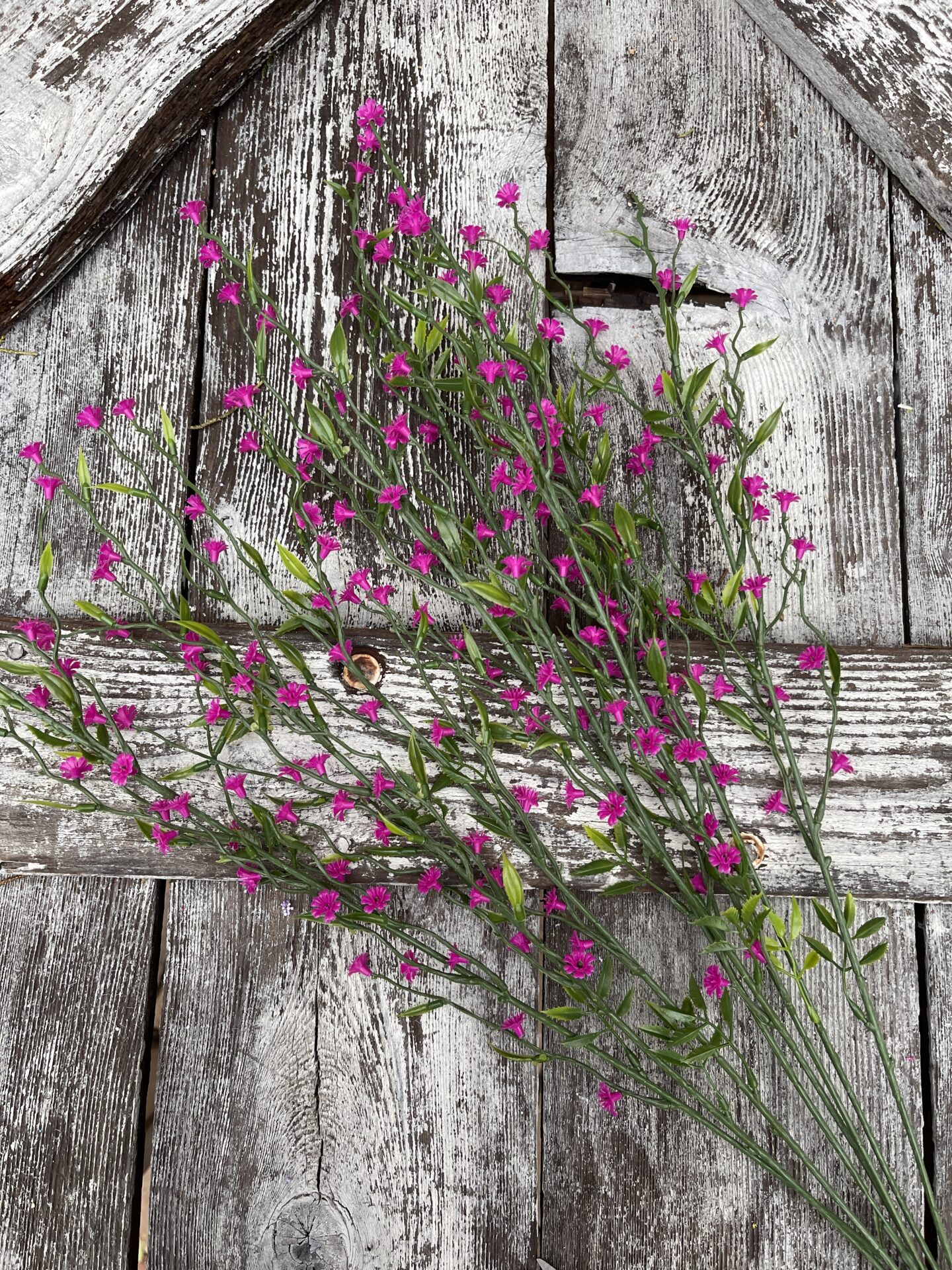 Hot Pink Twig Flower Spray - Kelea's Florals