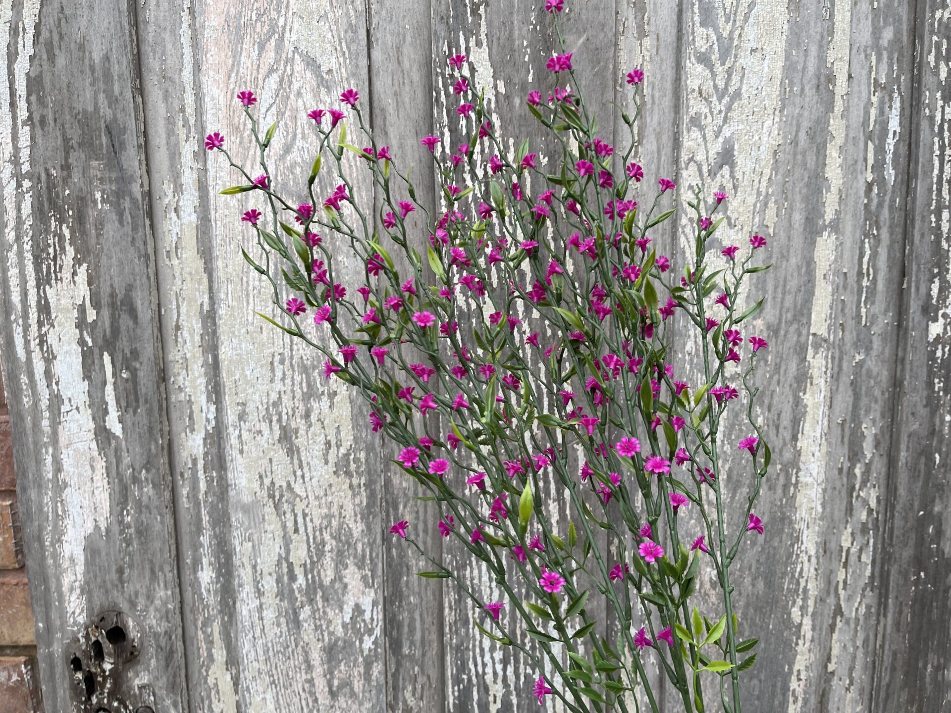Hot Pink Twig Flower Spray - Kelea's Florals
