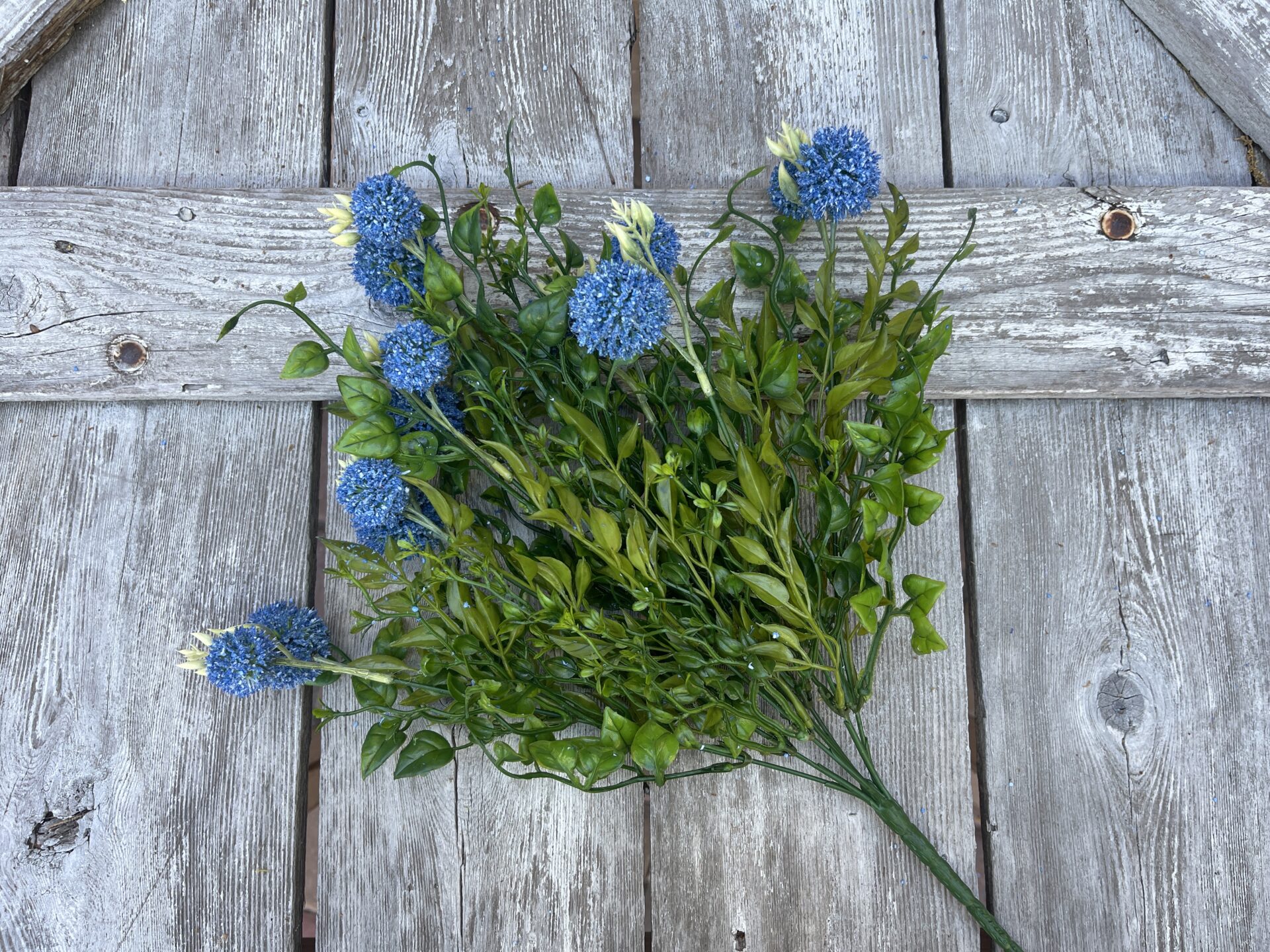 Blue Snowball Allium Bush - Kelea's Florals