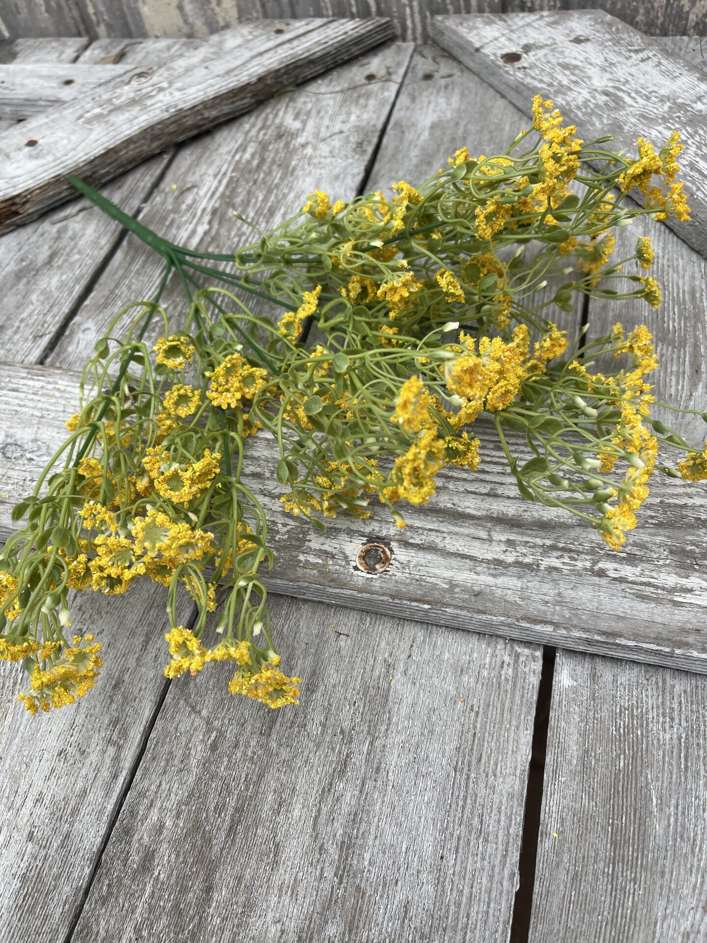 Yellow Gypso Bush - Kelea's Florals
