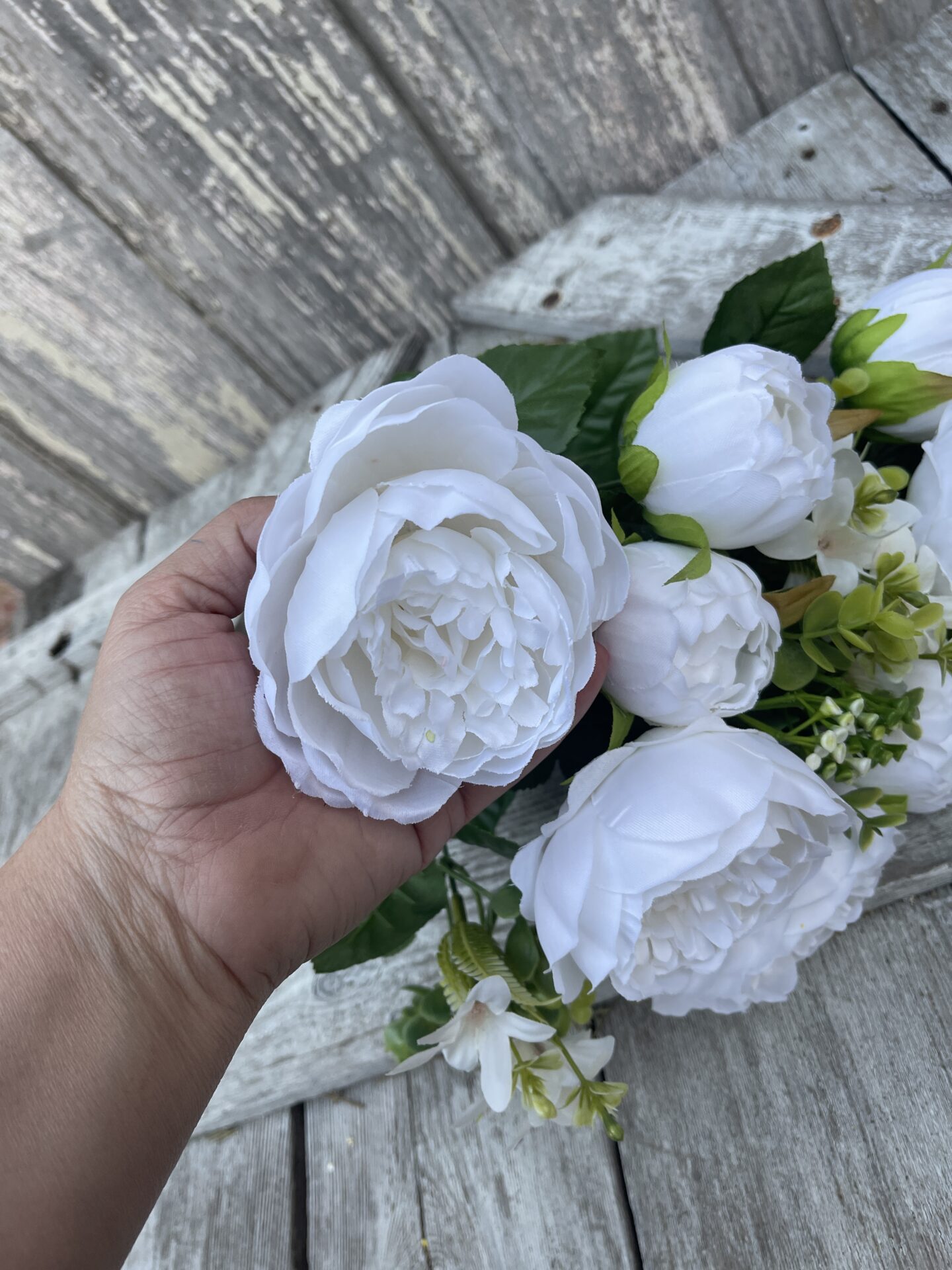 Cream Peony Bush - Kelea's Florals