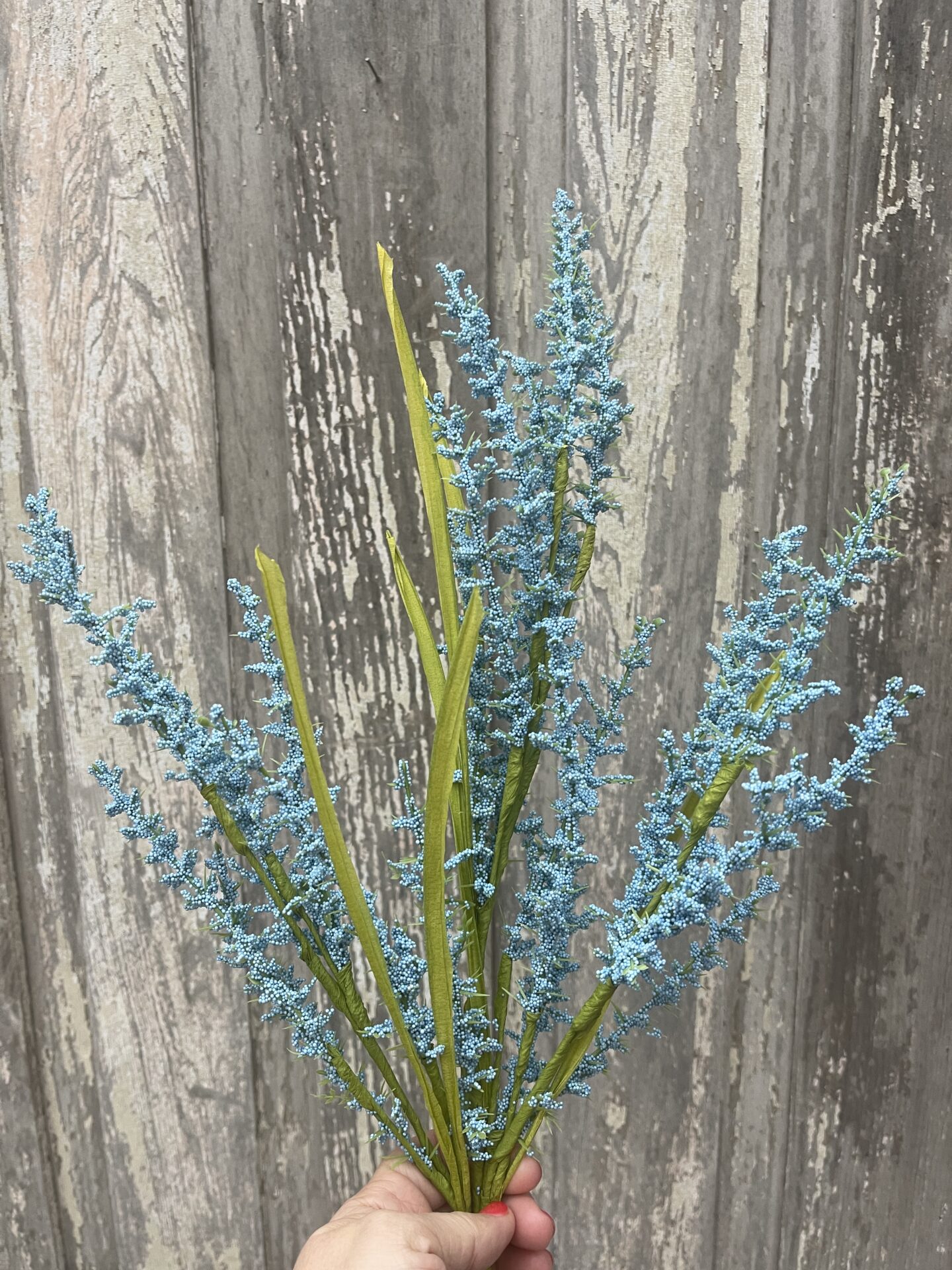 Blue Feather Reed Grass Spray - Kelea's Florals