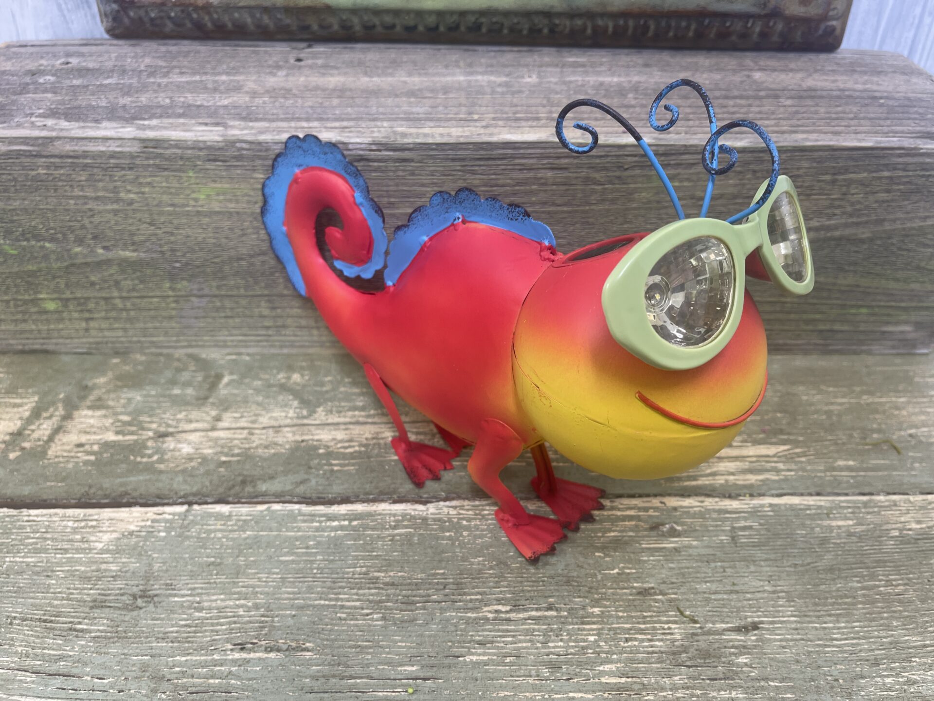 Solar Orange Lizard with Green Glasses - Kelea's Florals