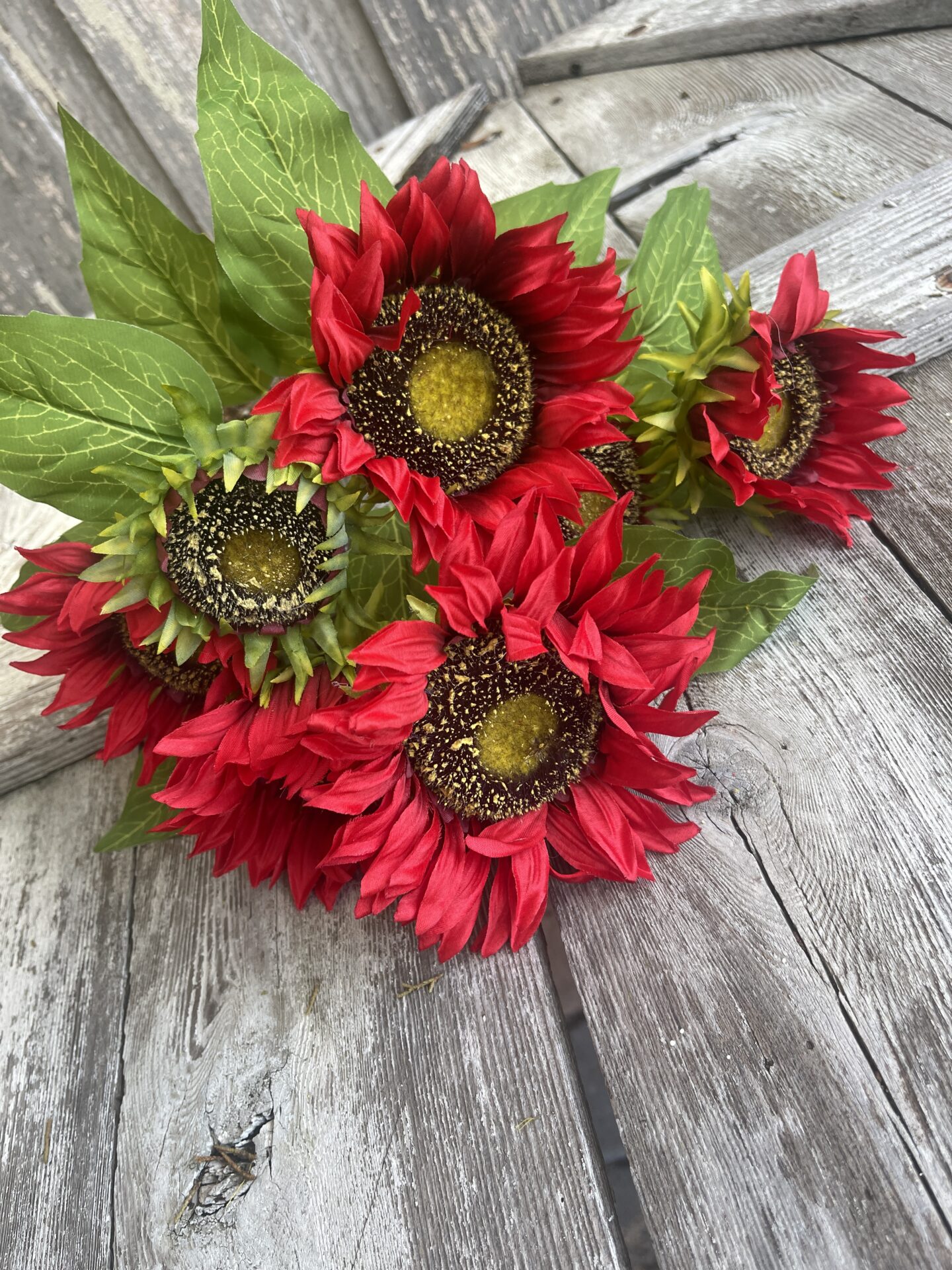 Red Sunflower Bush with 7 Heads - Kelea's Florals