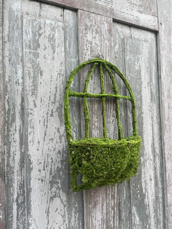 Green Moss Wall Basket - Kelea's Florals