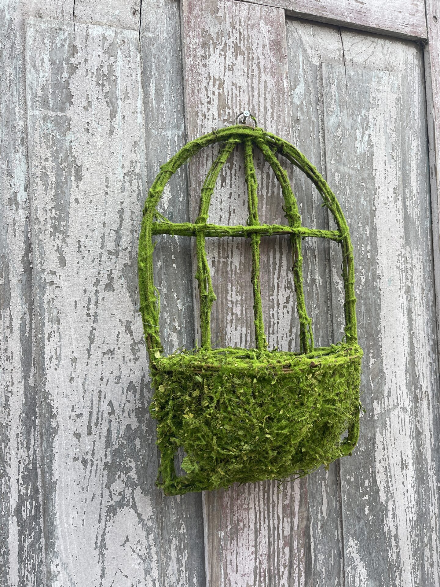 Green Moss Wall Basket - Kelea's Florals