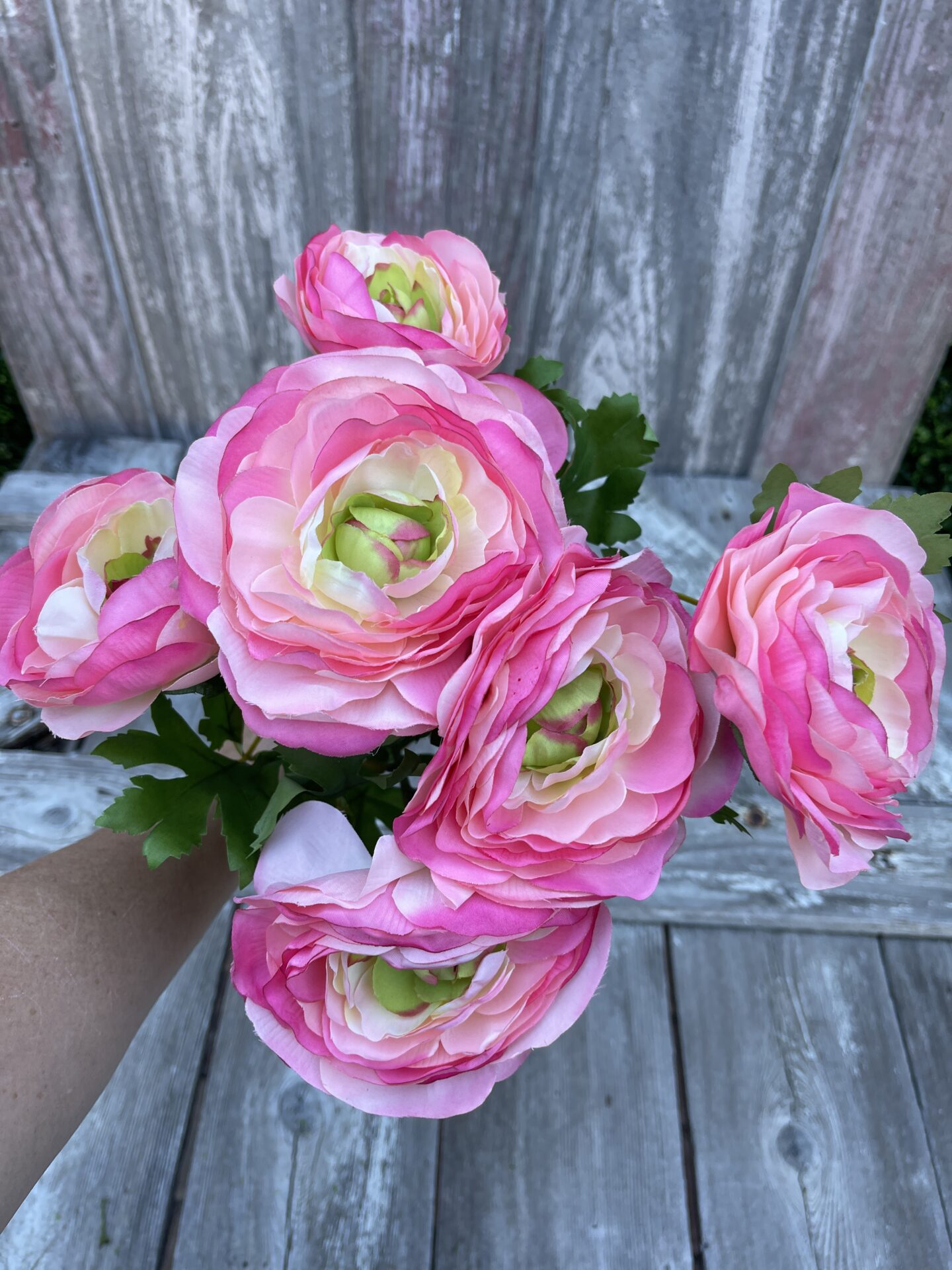 Large Pink Ranunculus Bush - Kelea's Florals