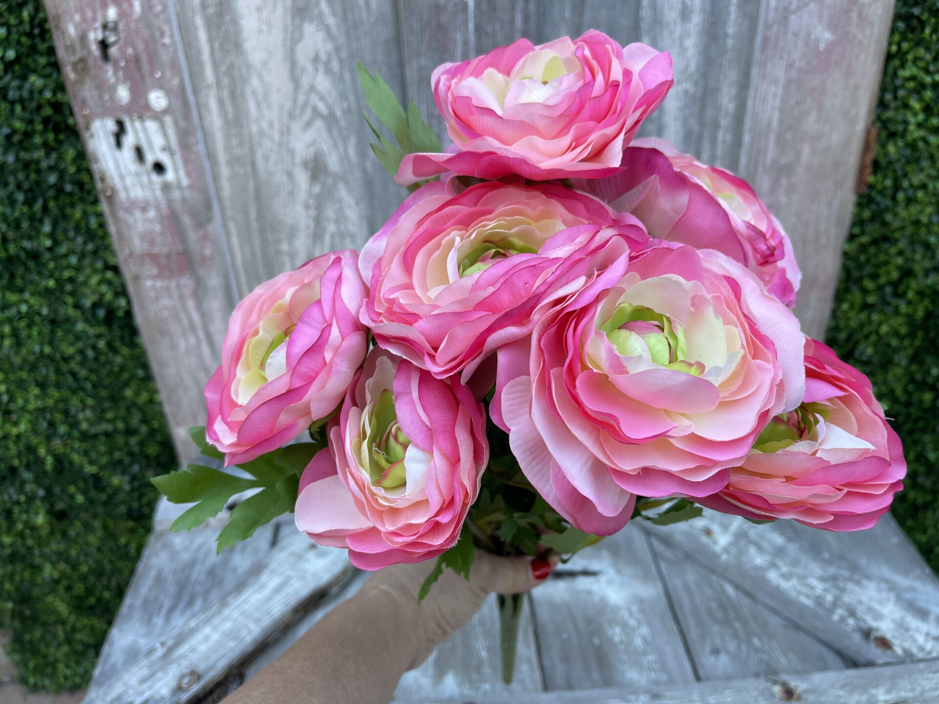 Large Pink Ranunculus Bush - Kelea's Florals