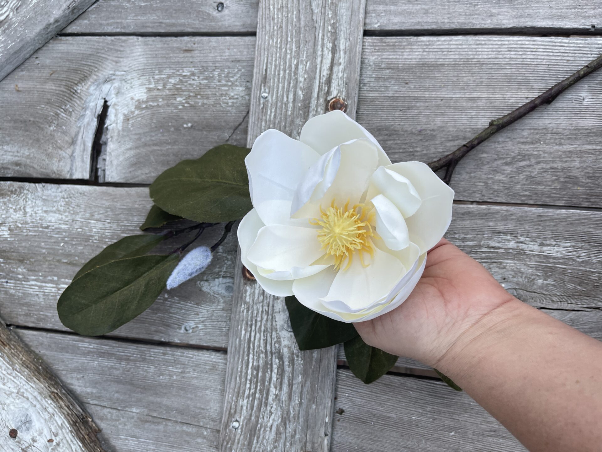 Sweetbay Magnolia Spray - Kelea's Florals