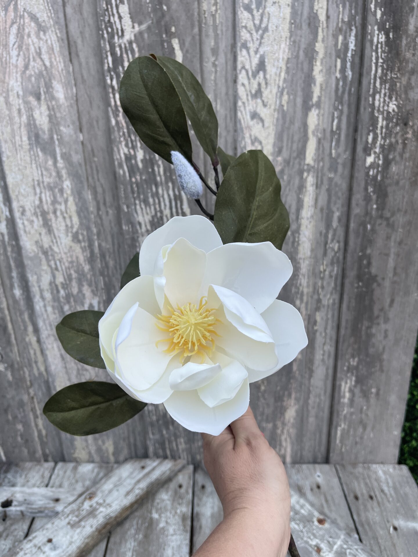 Sweetbay Magnolia Spray - Kelea's Florals