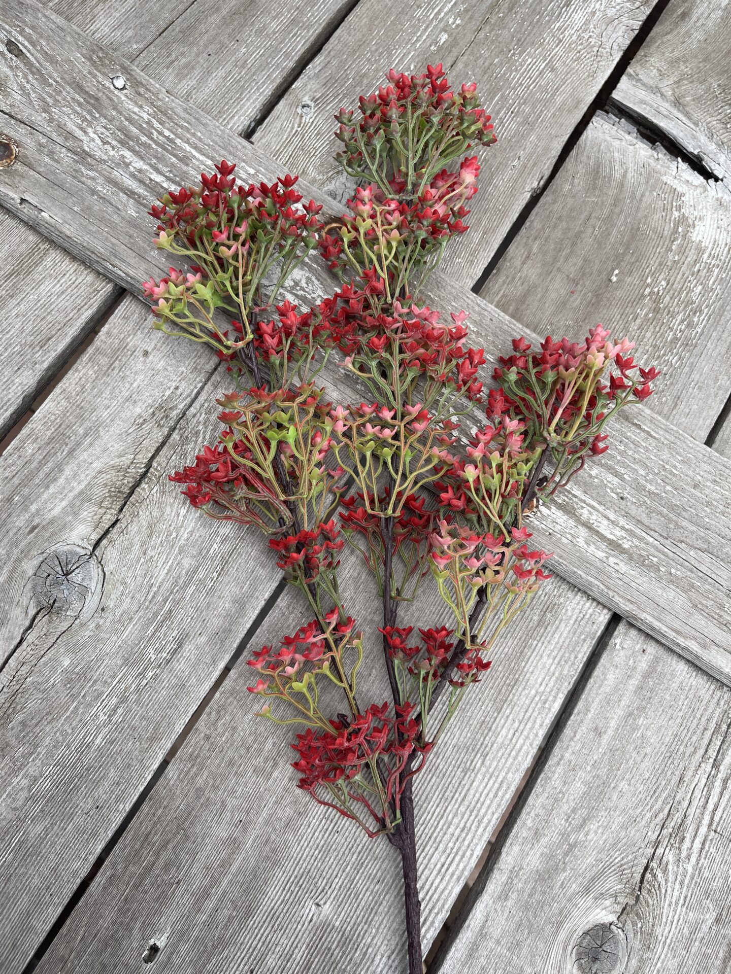 Red Filler Flower Andromeda Buds Spray 28" - Kelea's Florals