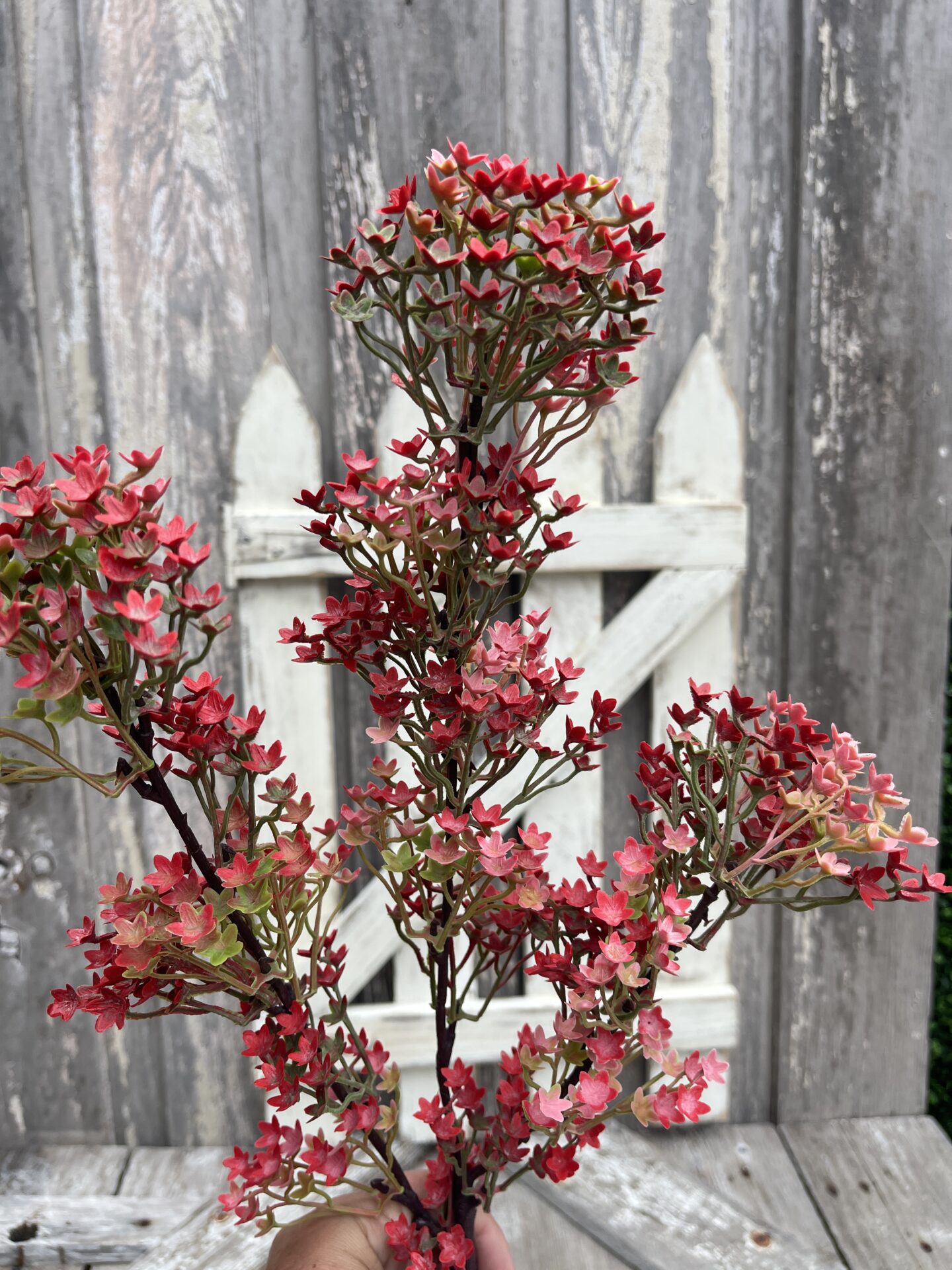 Red Filler Flower Andromeda Buds Spray 28" - Kelea's Florals