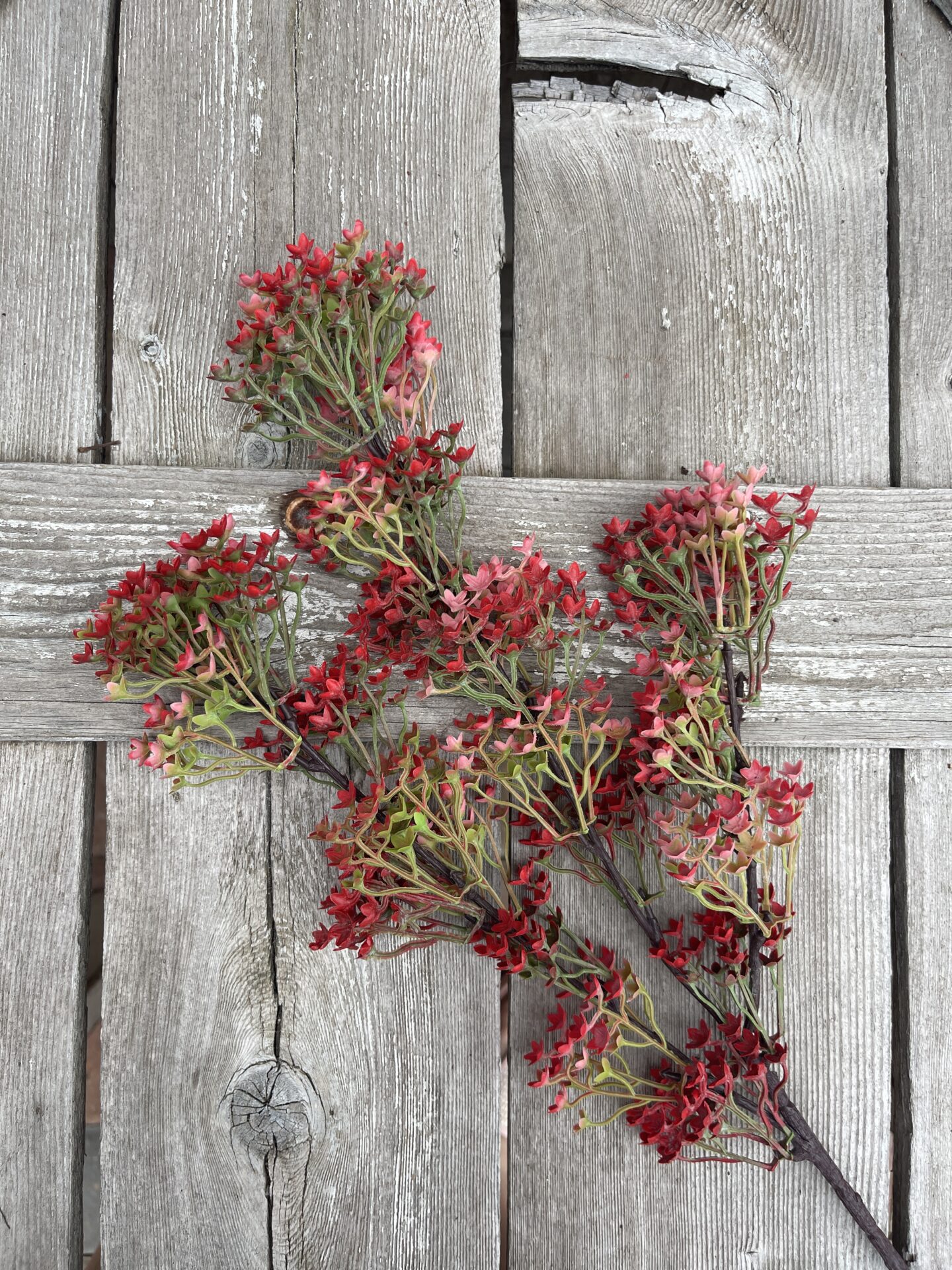 Red Filler Flower Andromeda Buds Spray 28" - Kelea's Florals