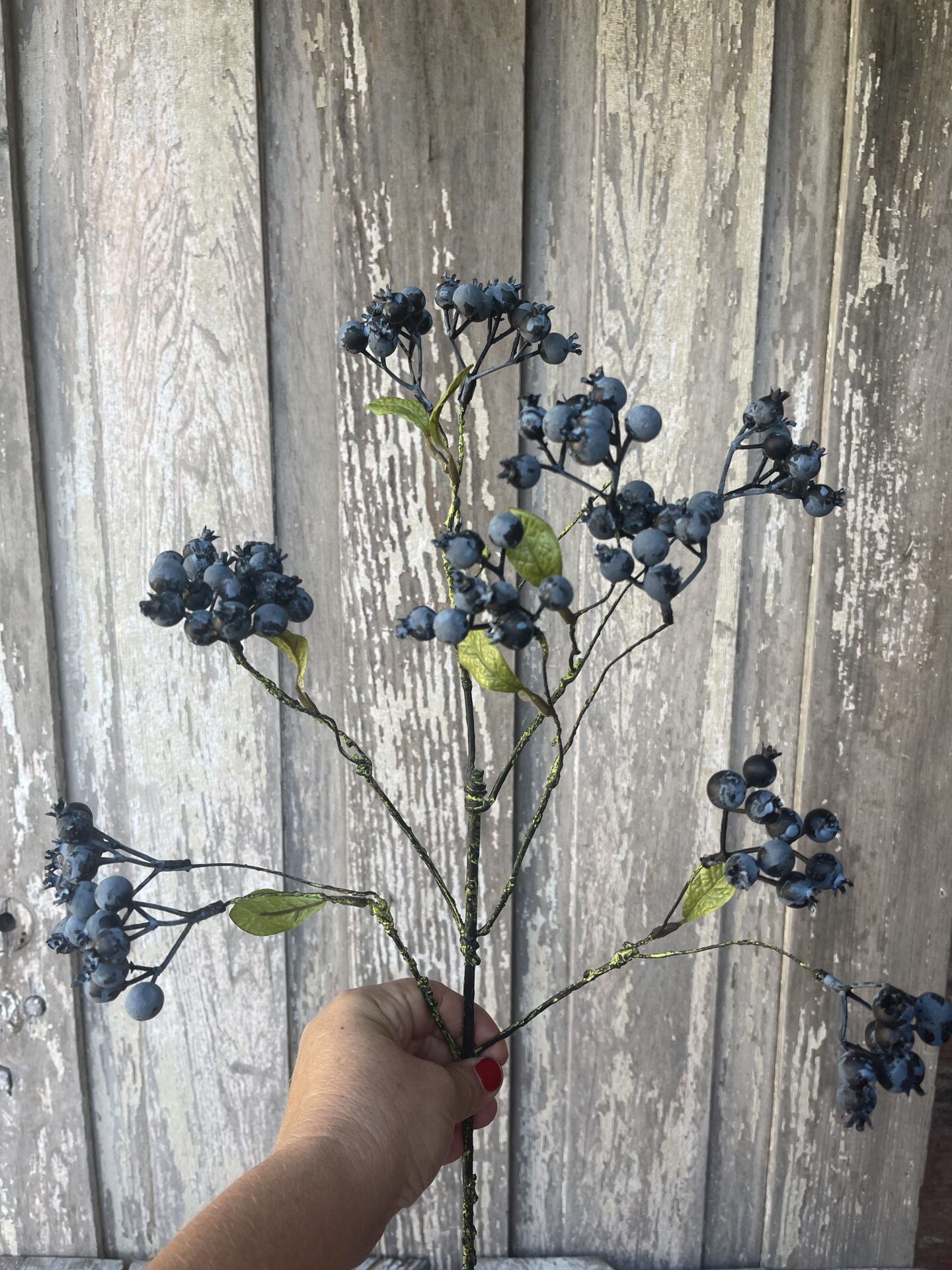 Blue Berry Stem - Kelea's Florals