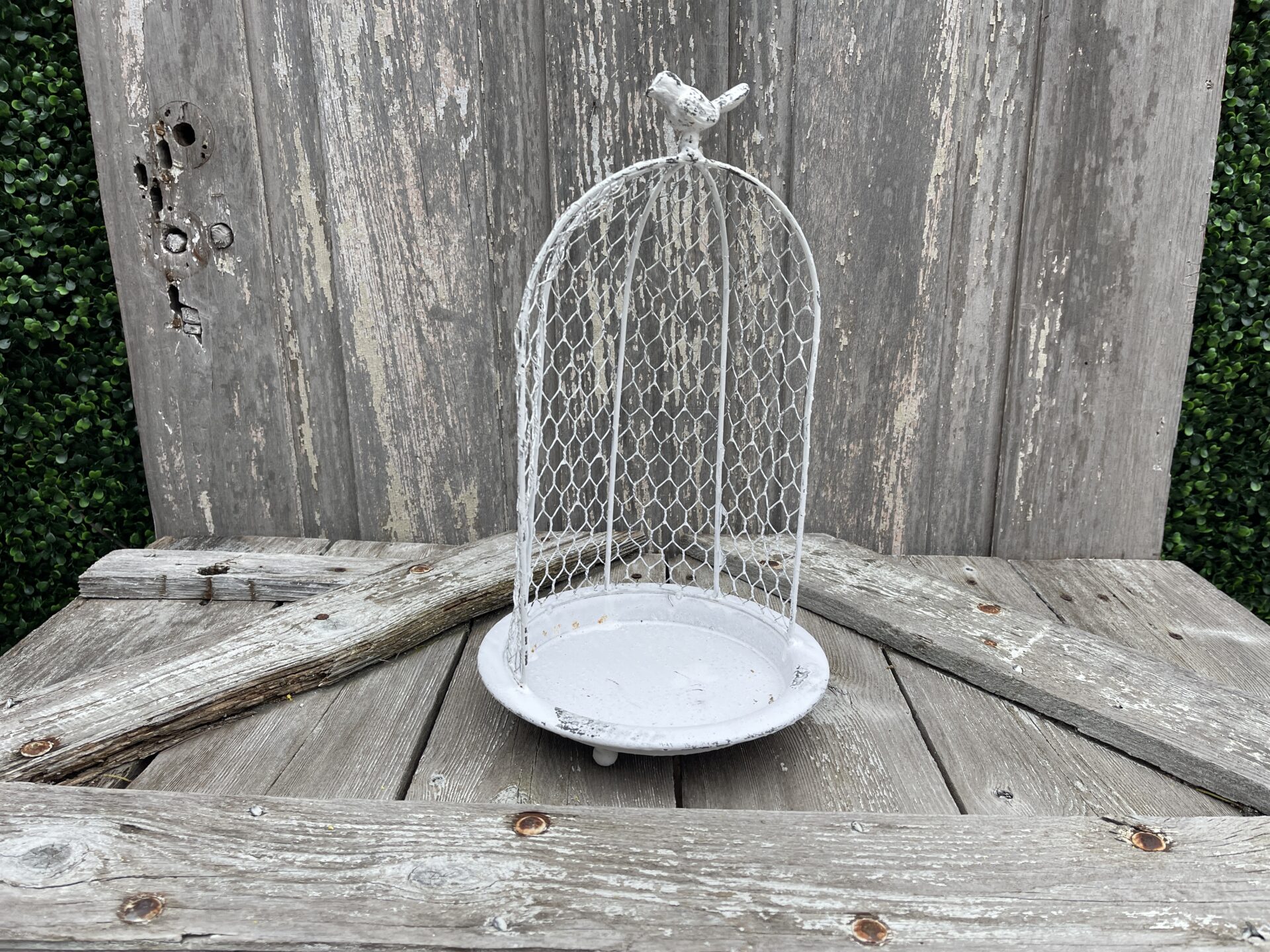 Open Wire Cloche on Pedestal - Kelea's Florals