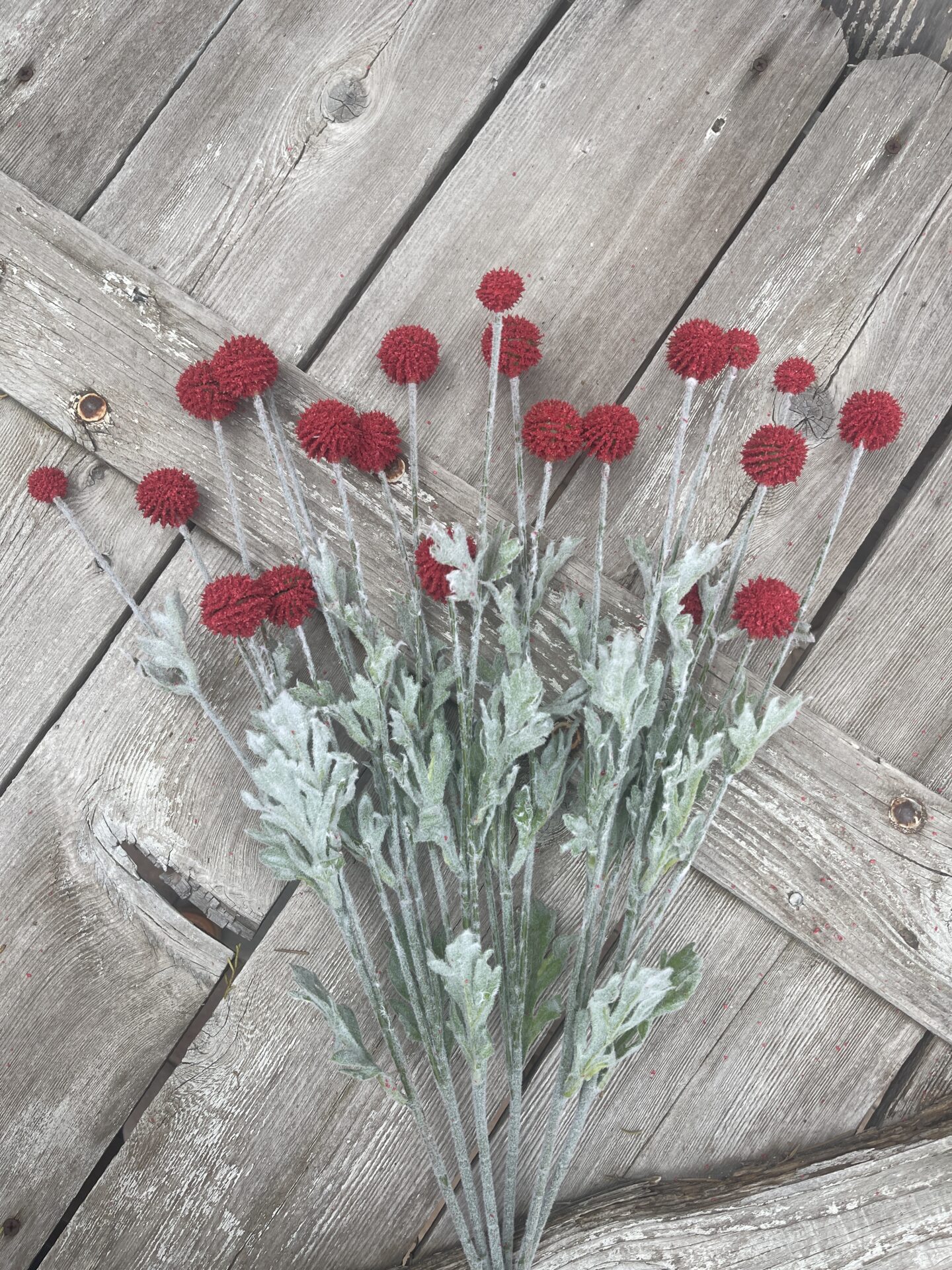 Red Wind Dancer 23" - Kelea's Florals