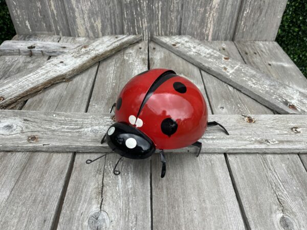 Large Metal Ladybug - Kelea's Florals