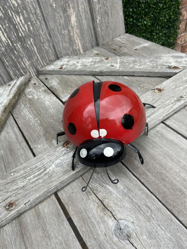 Large Metal Ladybug - Kelea's Florals