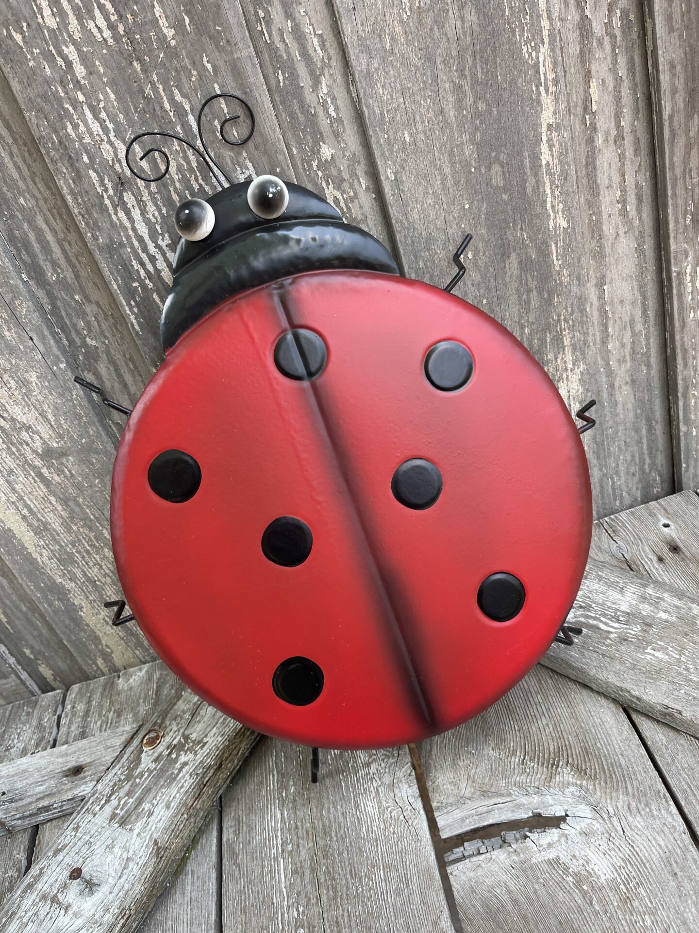 Metal Ladybug with Legs - Kelea's Florals